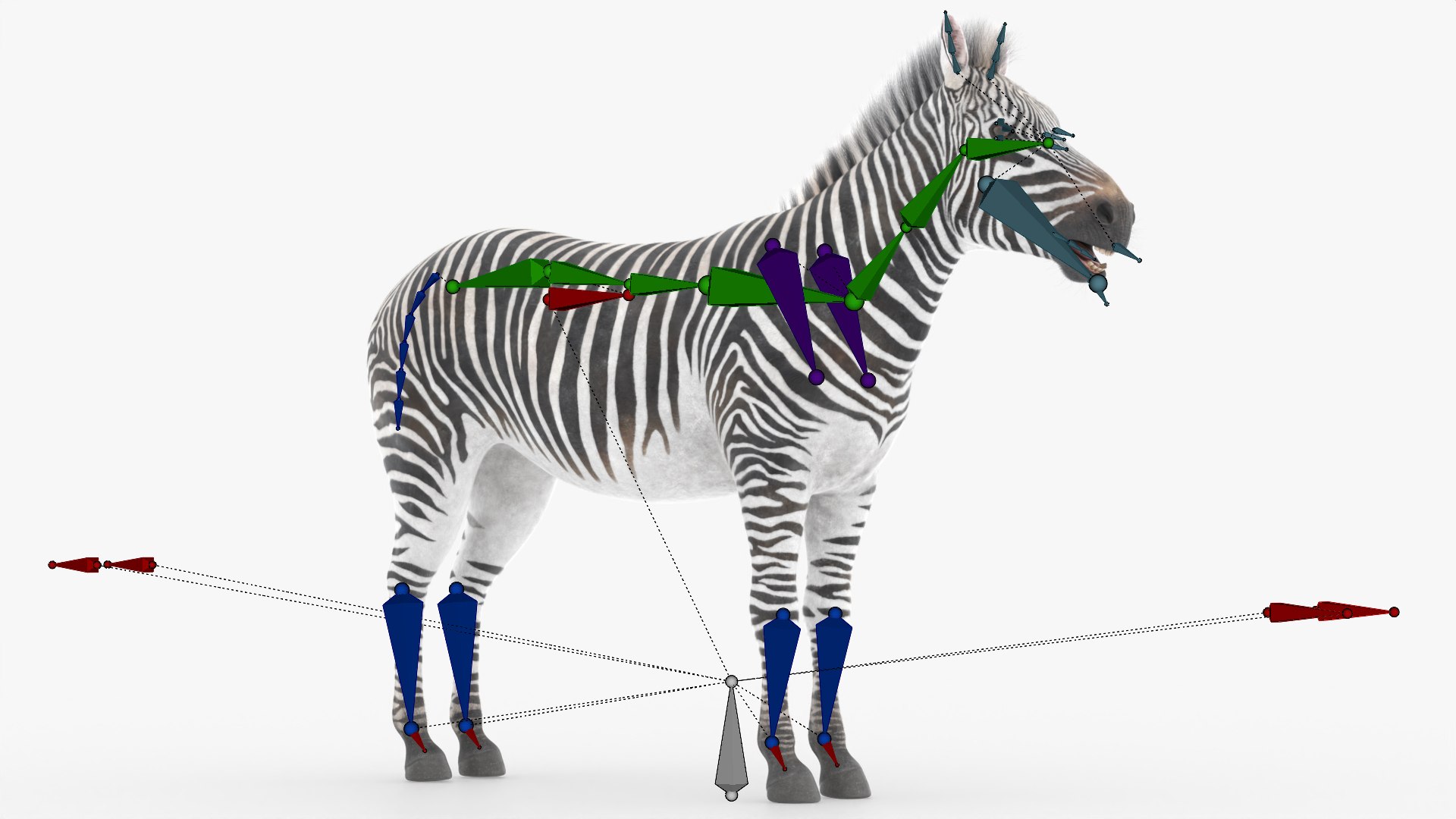 Savanna Zebra Eating Animated Fur Rigged For Blender Model - TurboSquid ...