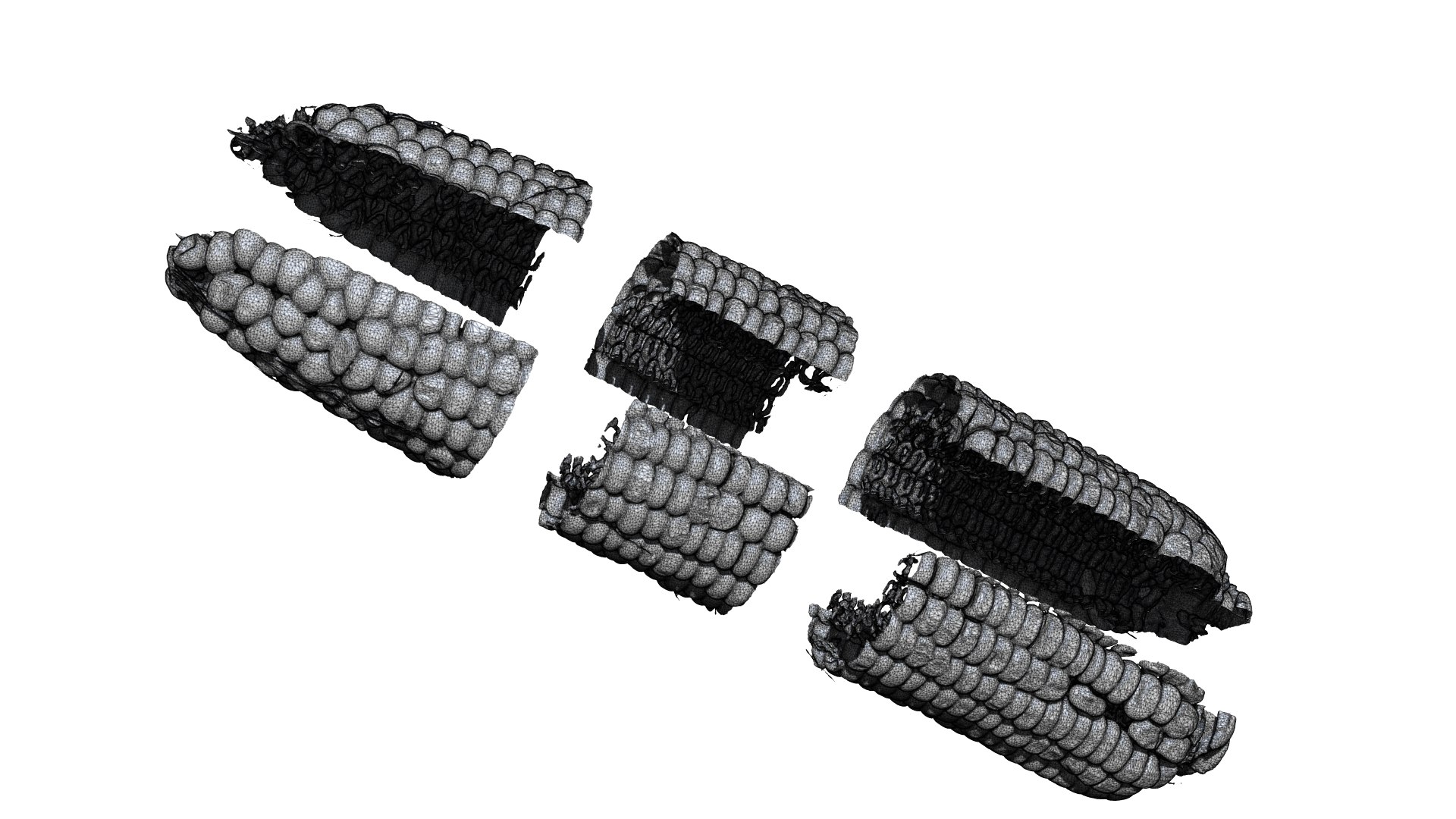 3D Corn 3D CT Scan Model Cut3 Decimate 50 Percent - TurboSquid 1945269