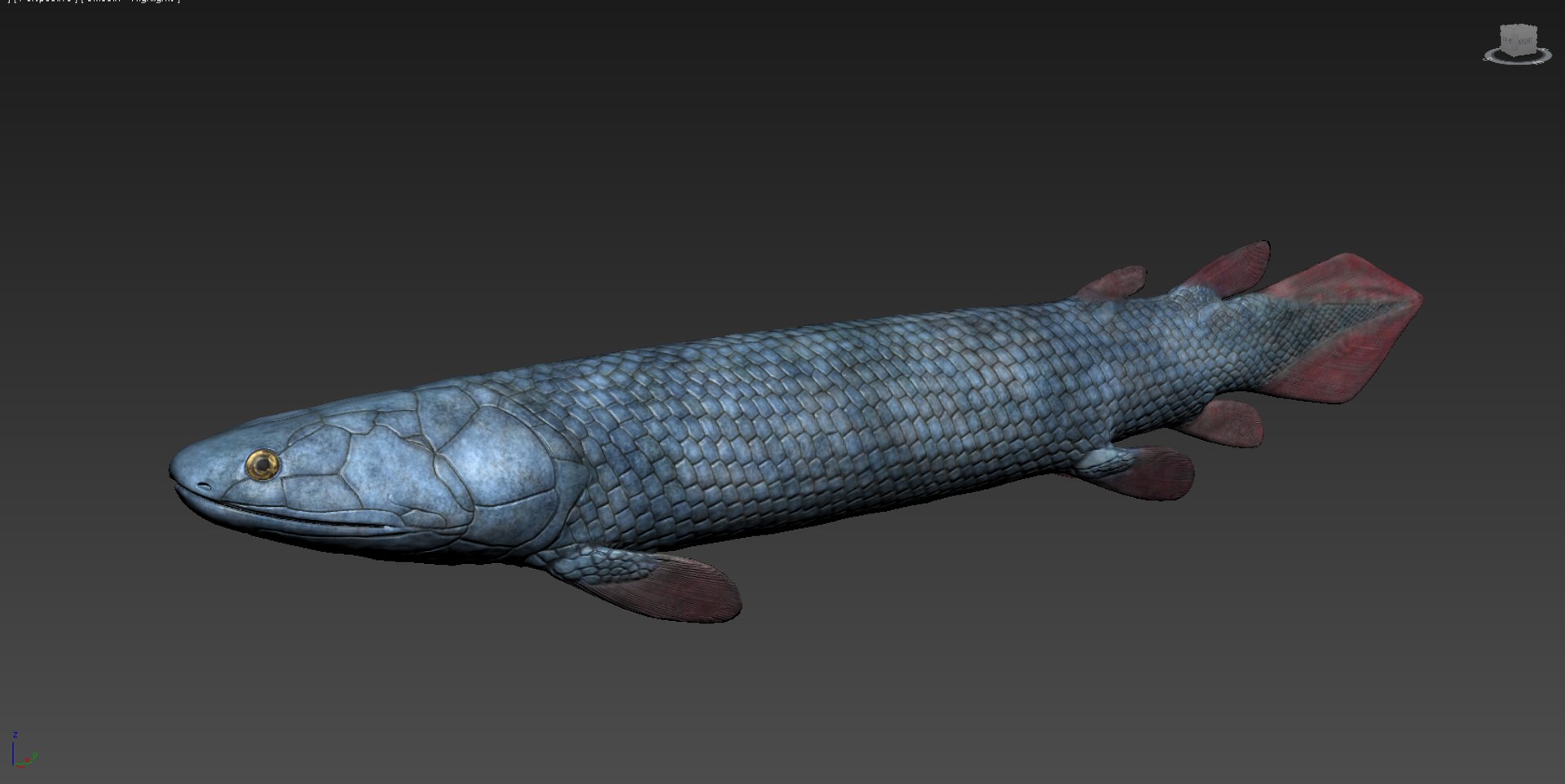 3D Model Gyroptychius - TurboSquid 1359245