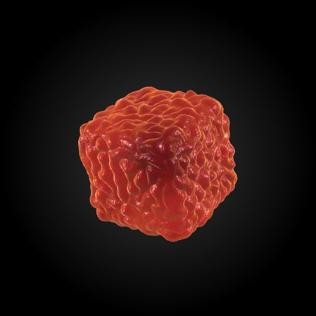 3ds Max Microbes Micro Organisms