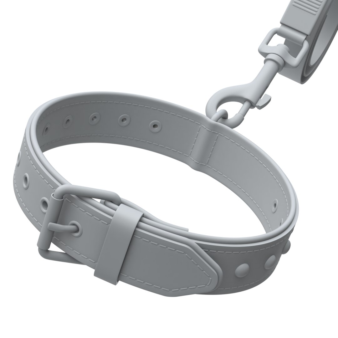 3D Collar Dog Leash - TurboSquid 1314420