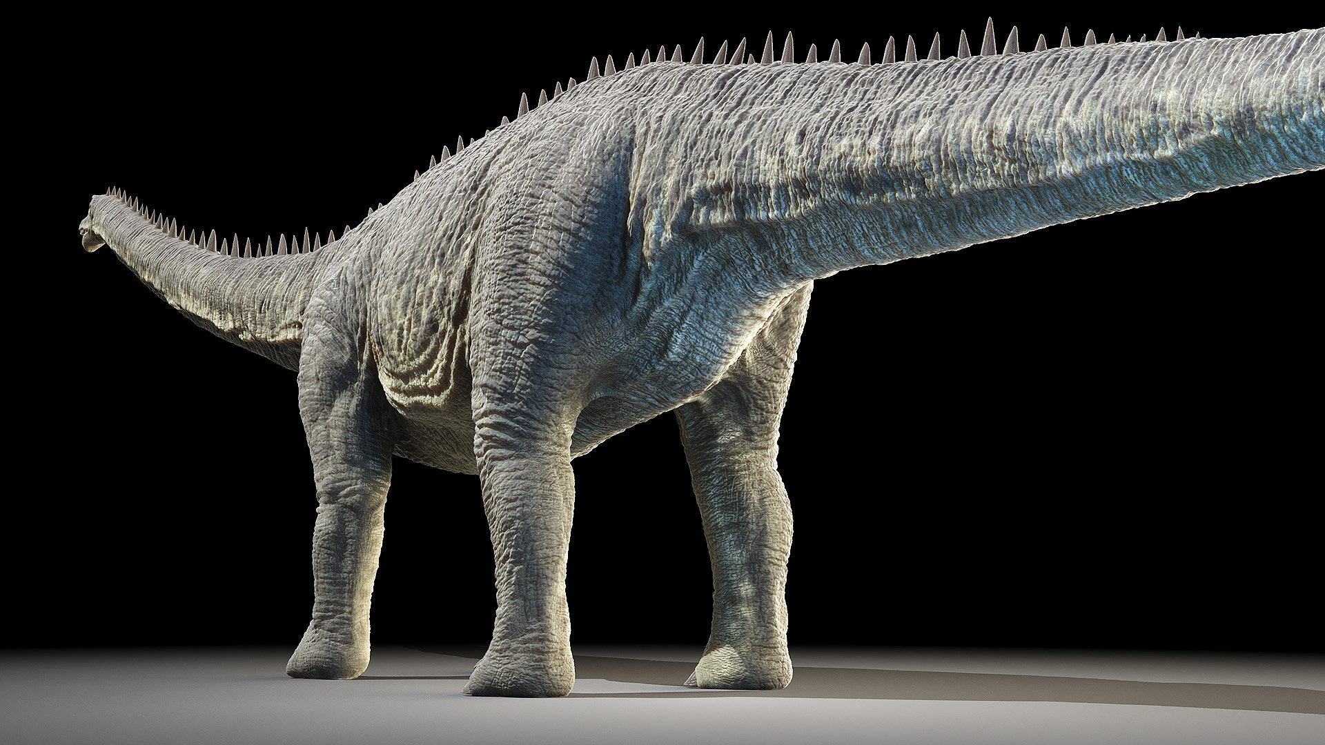 Diplodocus 3D Model - TurboSquid 1585232