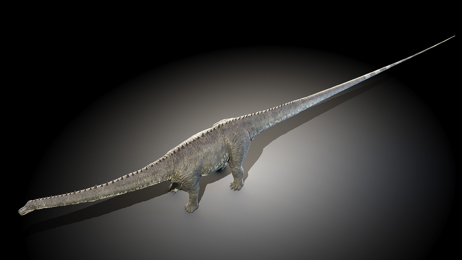 Diplodocus 3D Model - TurboSquid 1585232