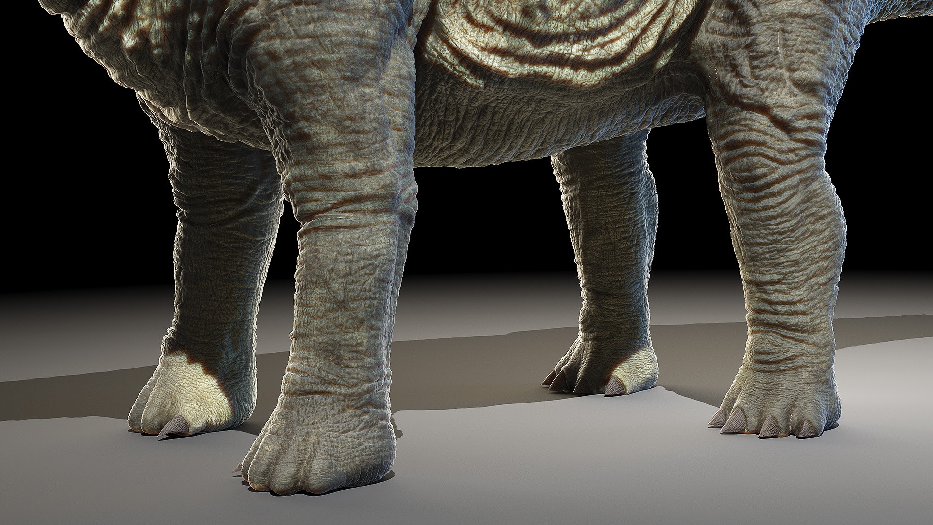 Diplodocus 3D Model - TurboSquid 1585232