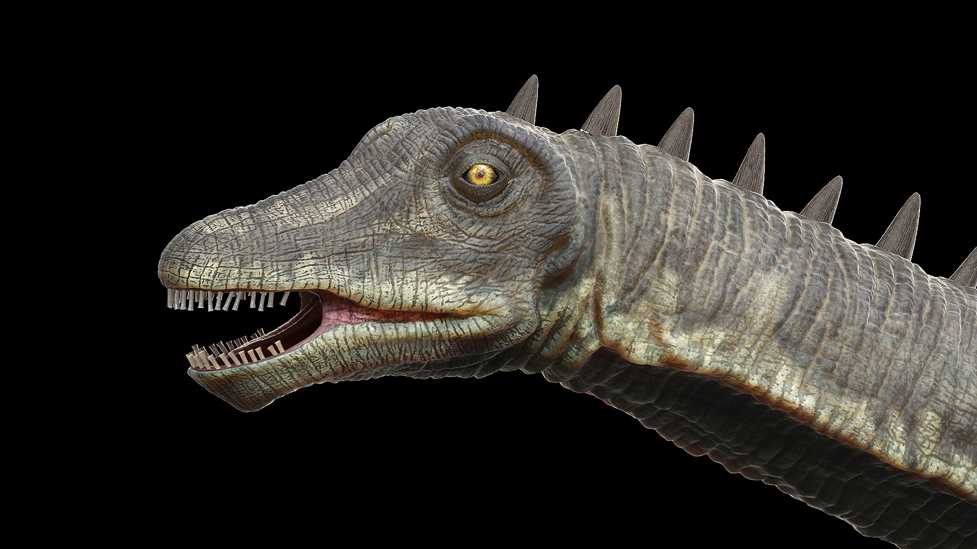 Diplodocus 3D Model - TurboSquid 1585232