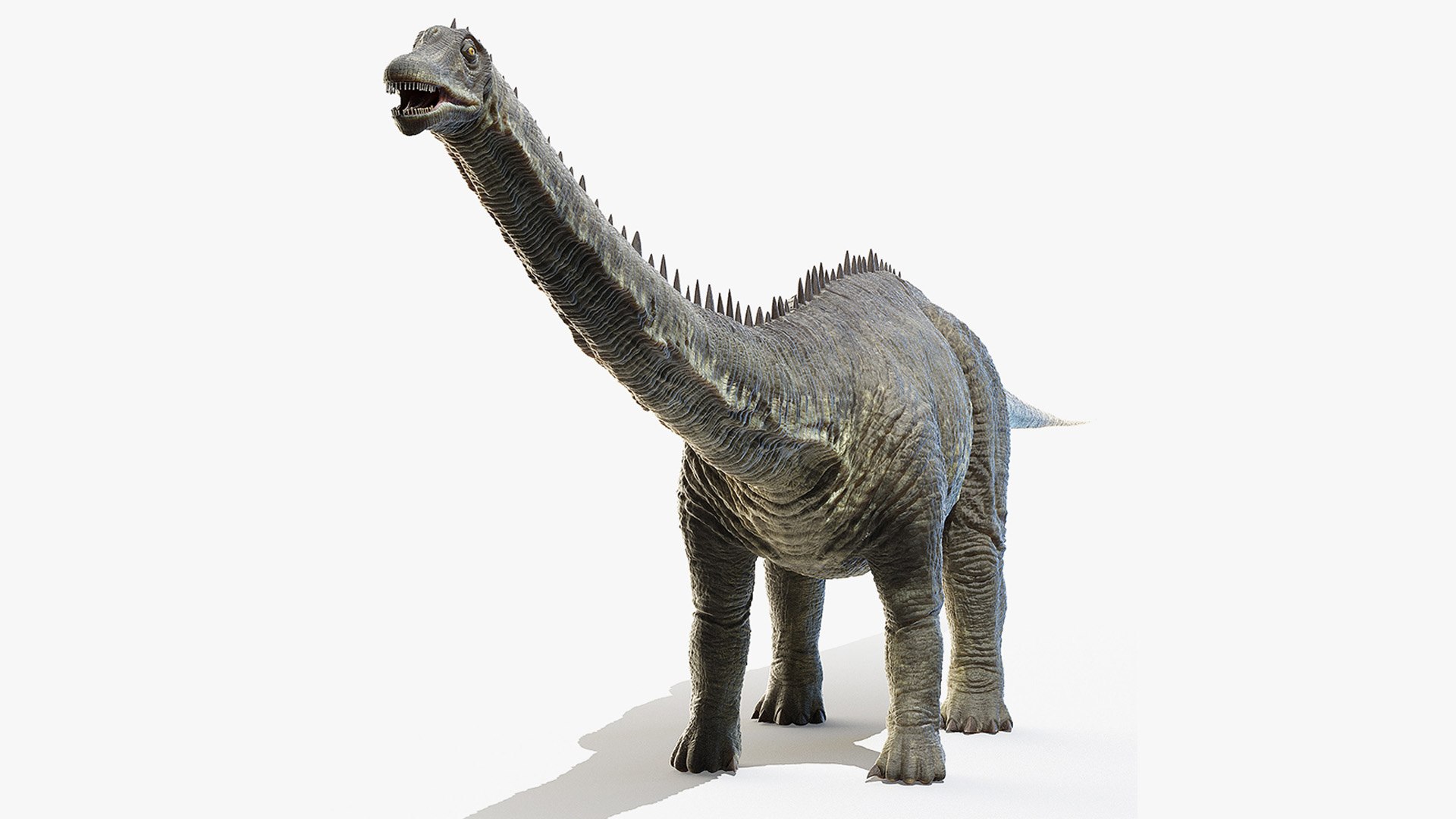 Diplodocus 3D model - TurboSquid 1585232