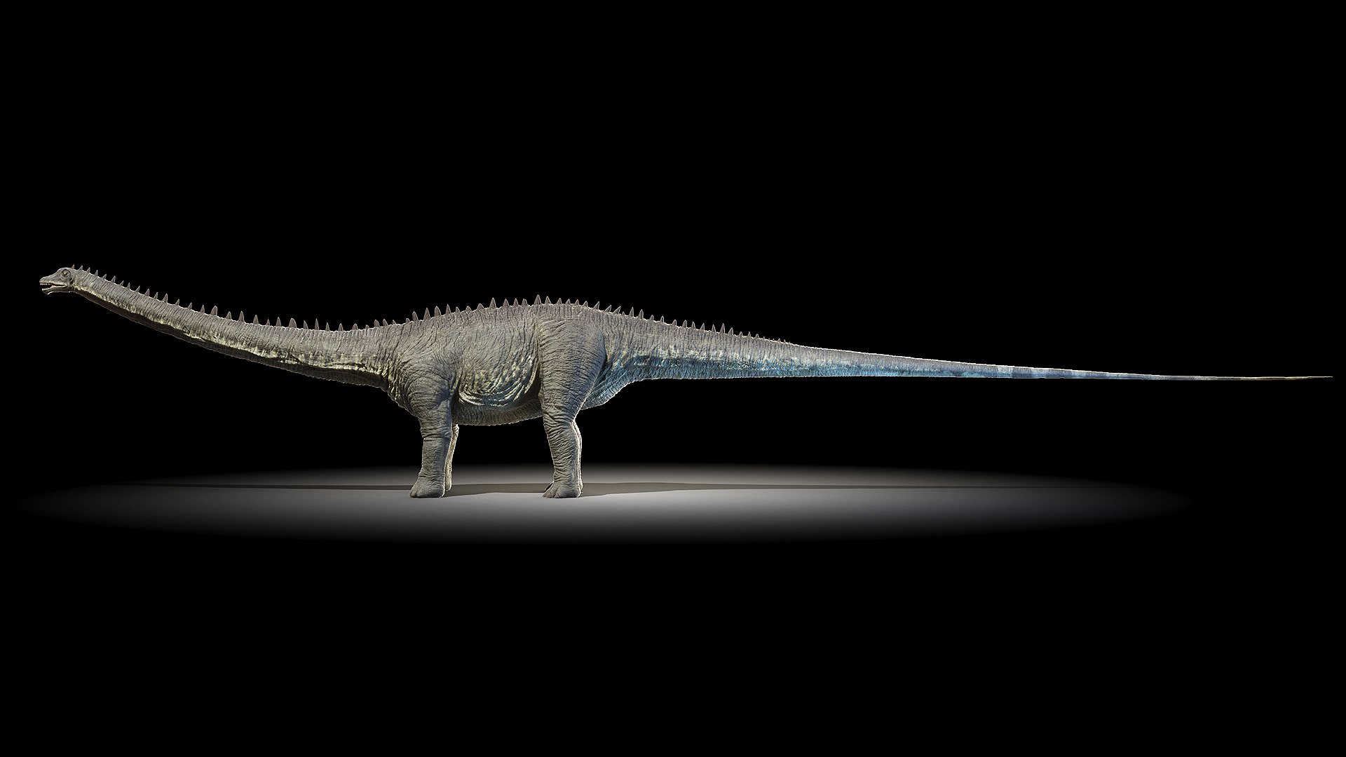 Diplodocus 3D Model - TurboSquid 1585232