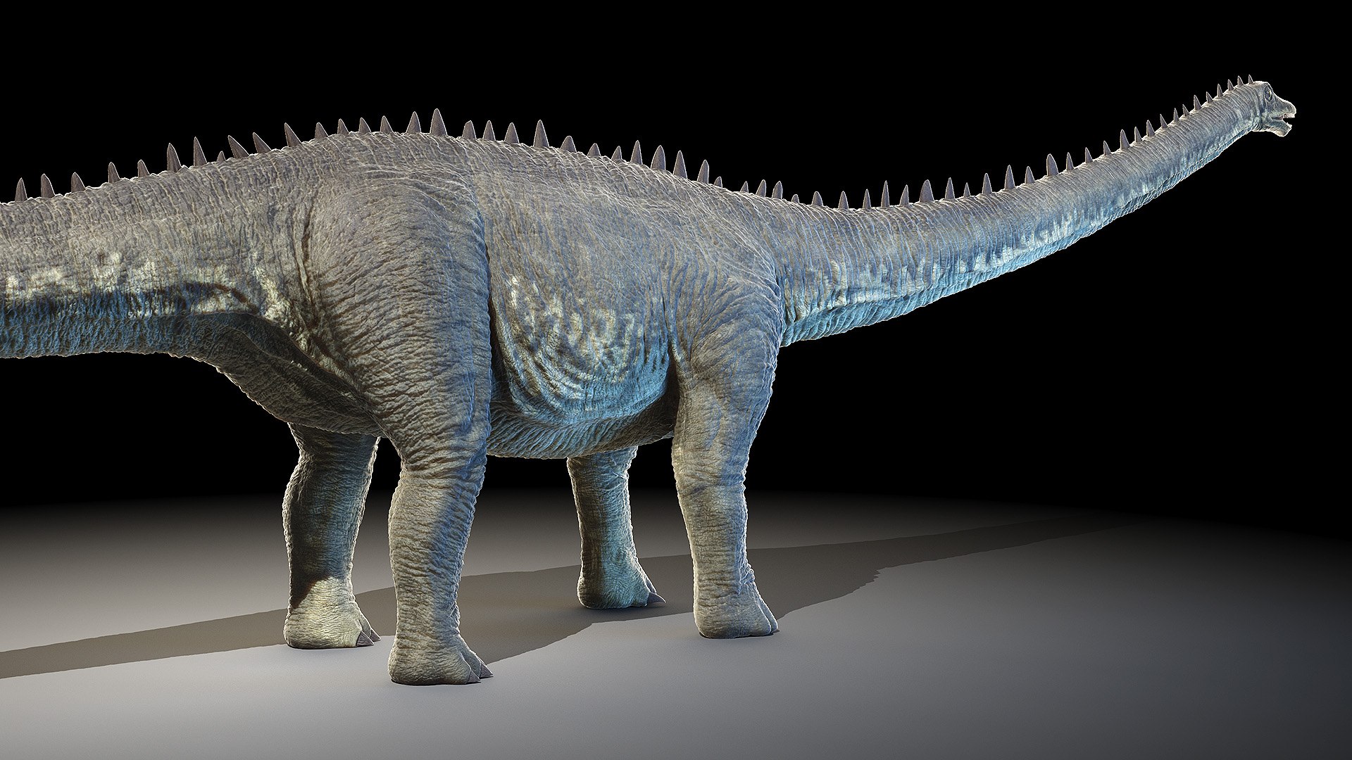 Diplodocus 3D Model - TurboSquid 1585232