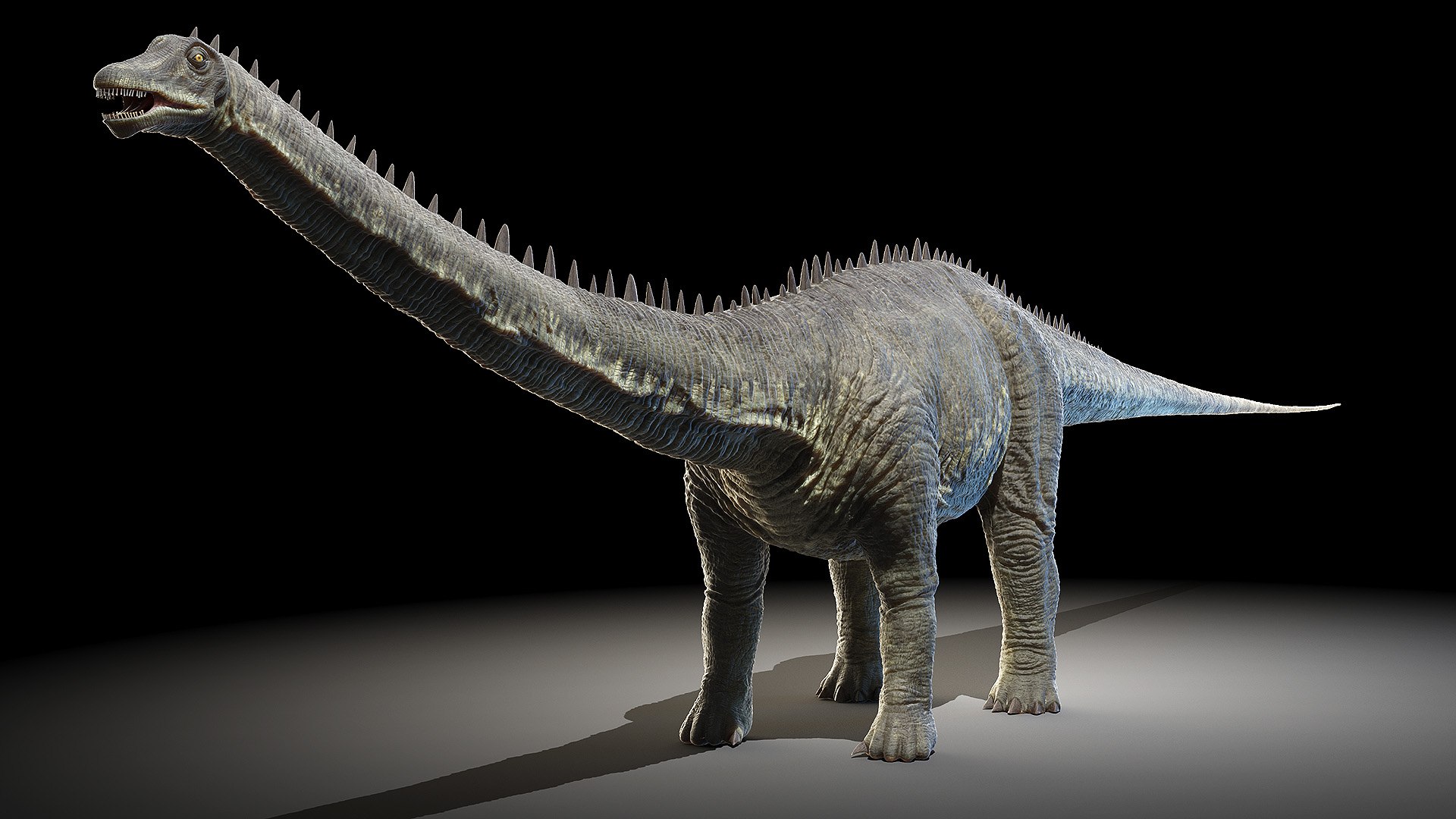 Diplodocus 3D Model - TurboSquid 1585232