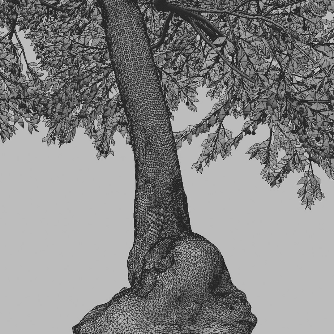 Set Of Prunus Avium Or Sweet Cherry Tree - 2 Trees 3D Model ...