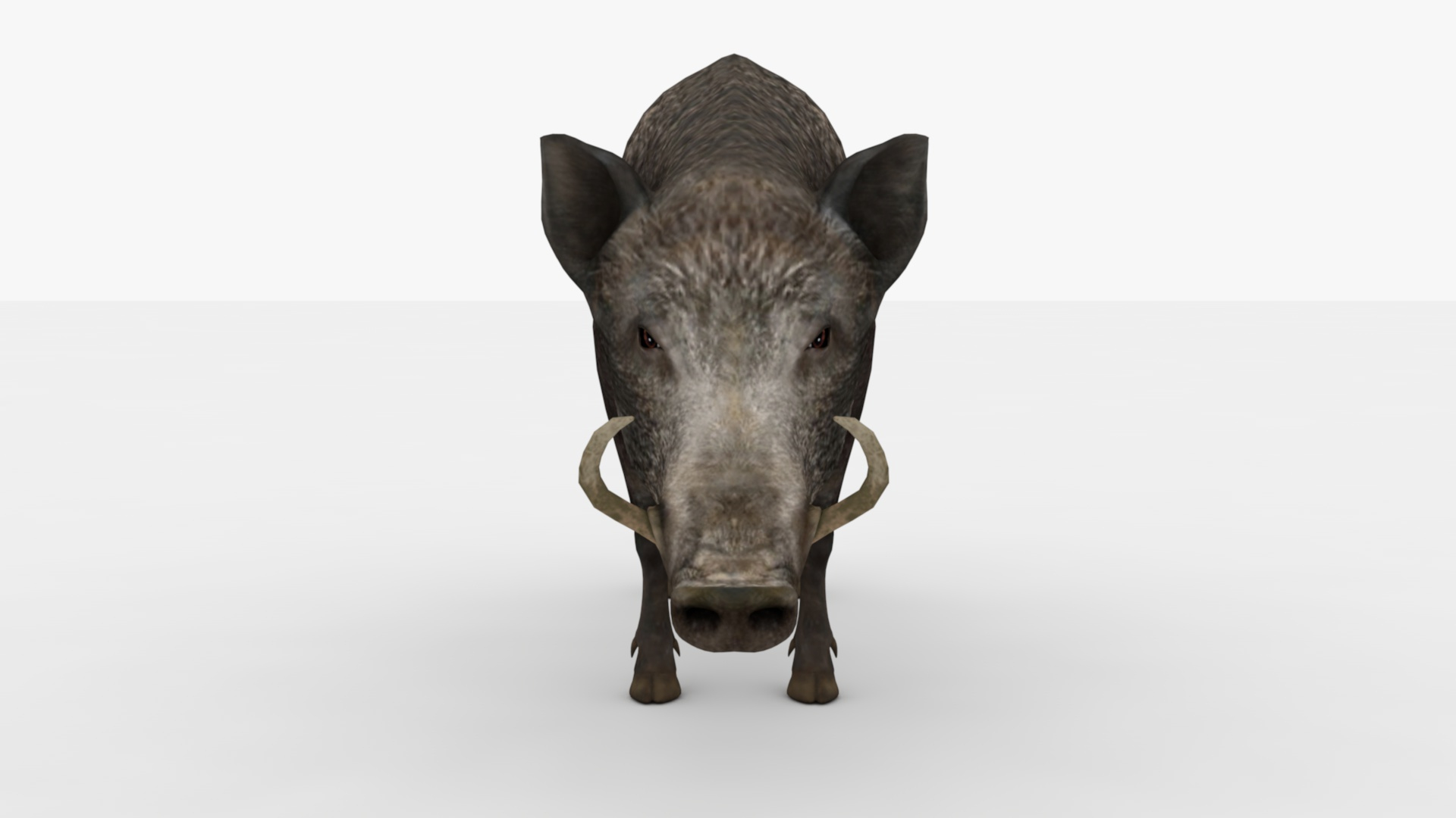 Boar Rigged And Animated 3D Model - TurboSquid 2348743