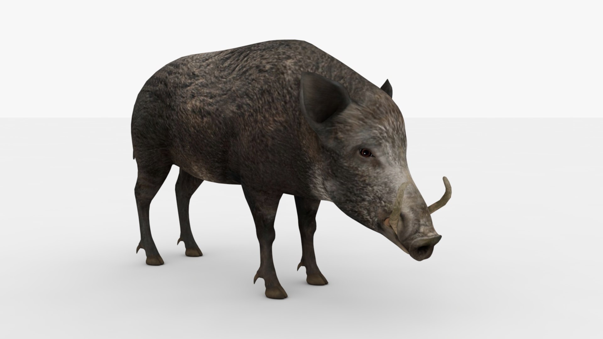 Boar Rigged And Animated 3D Model - TurboSquid 2348743