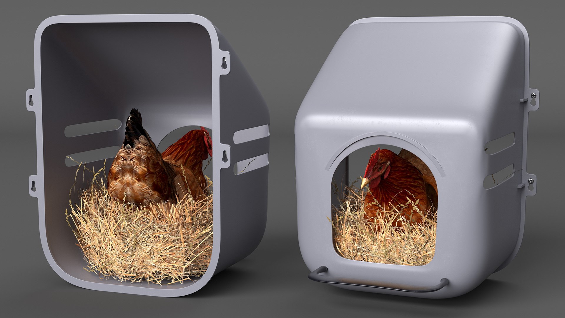 Chicken In Wall Mount Nesting Nest Box 3D Model - TurboSquid 2112263