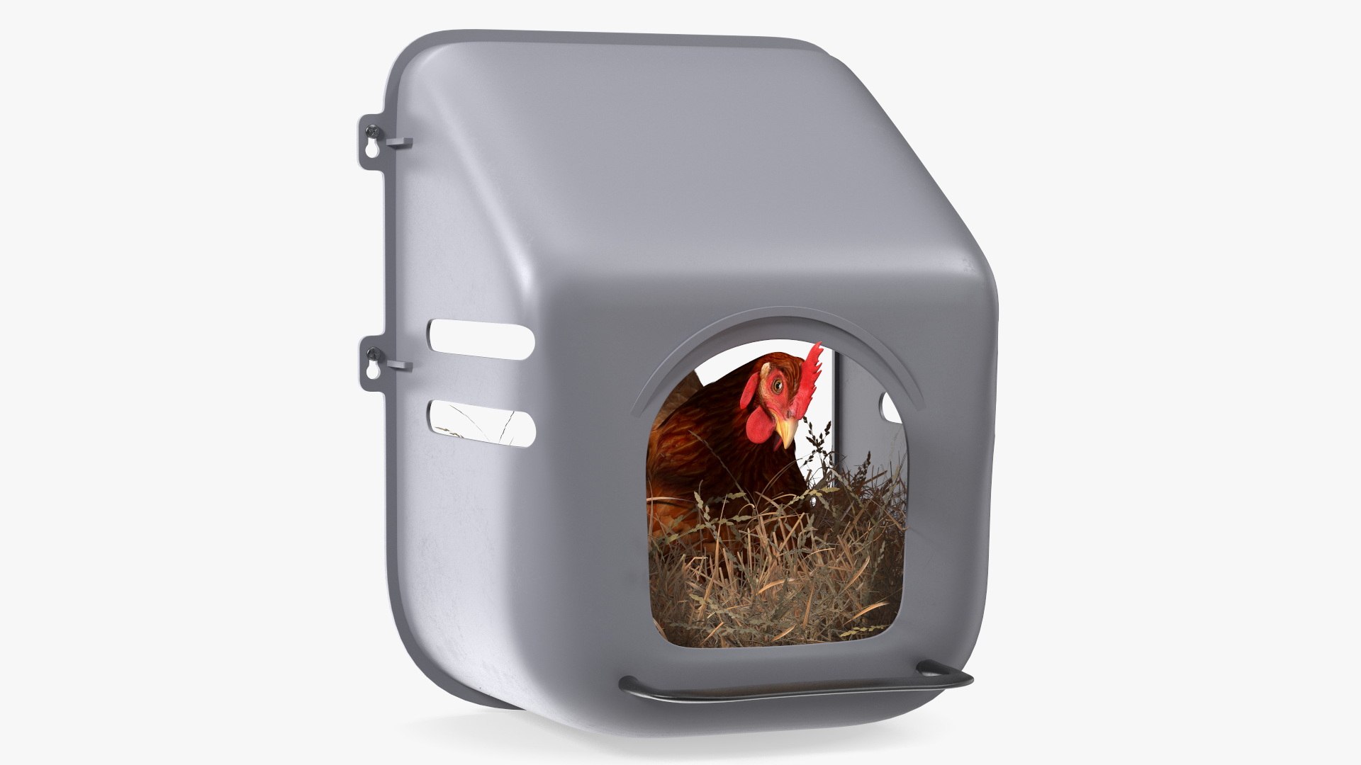 Chicken In Wall Mount Nesting Nest Box 3D Model - TurboSquid 2112263
