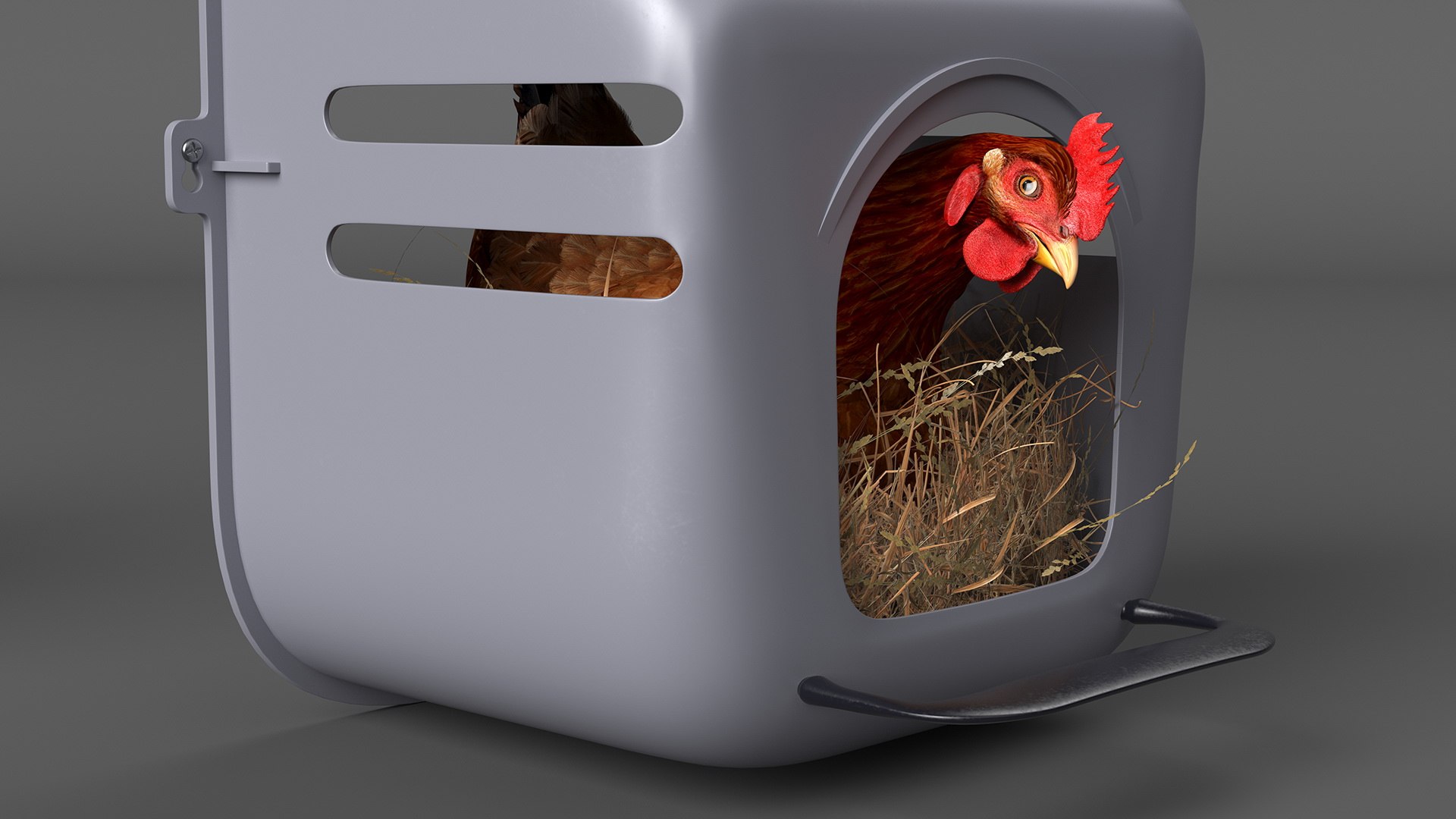 Chicken In Wall Mount Nesting Nest Box 3D Model - TurboSquid 2112263