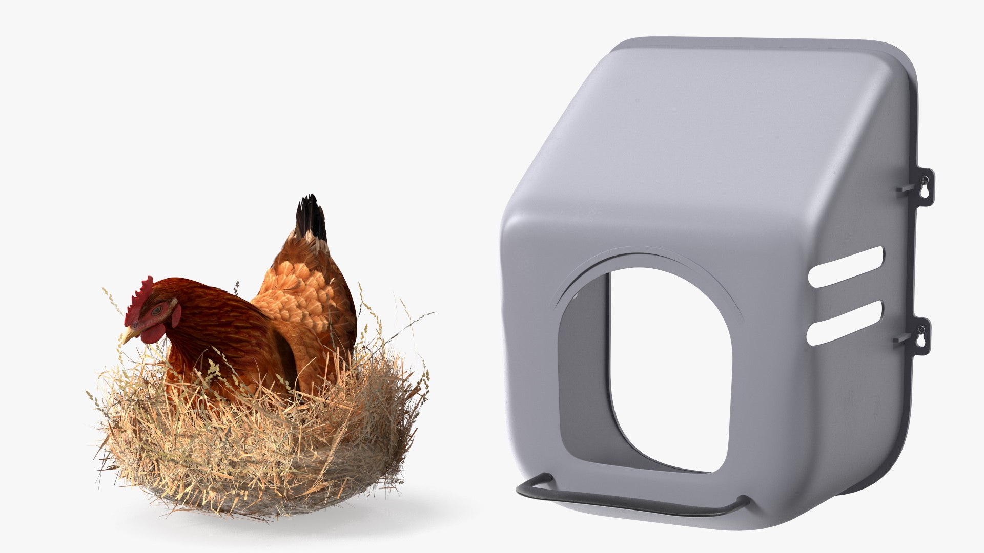 Chicken In Wall Mount Nesting Nest Box 3D Model - TurboSquid 2112263