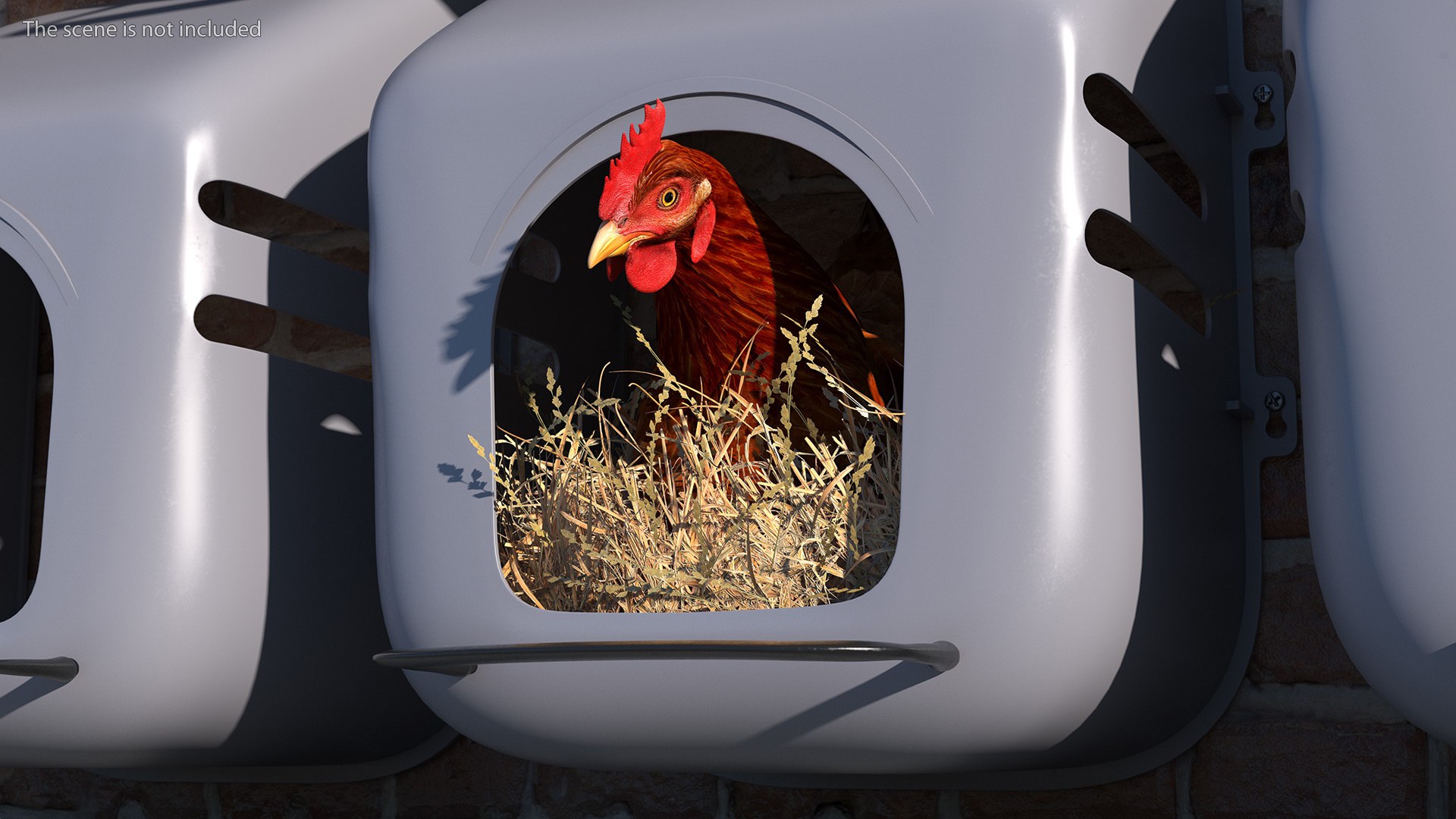 Chicken In Wall Mount Nesting Nest Box 3D Model - TurboSquid 2112263