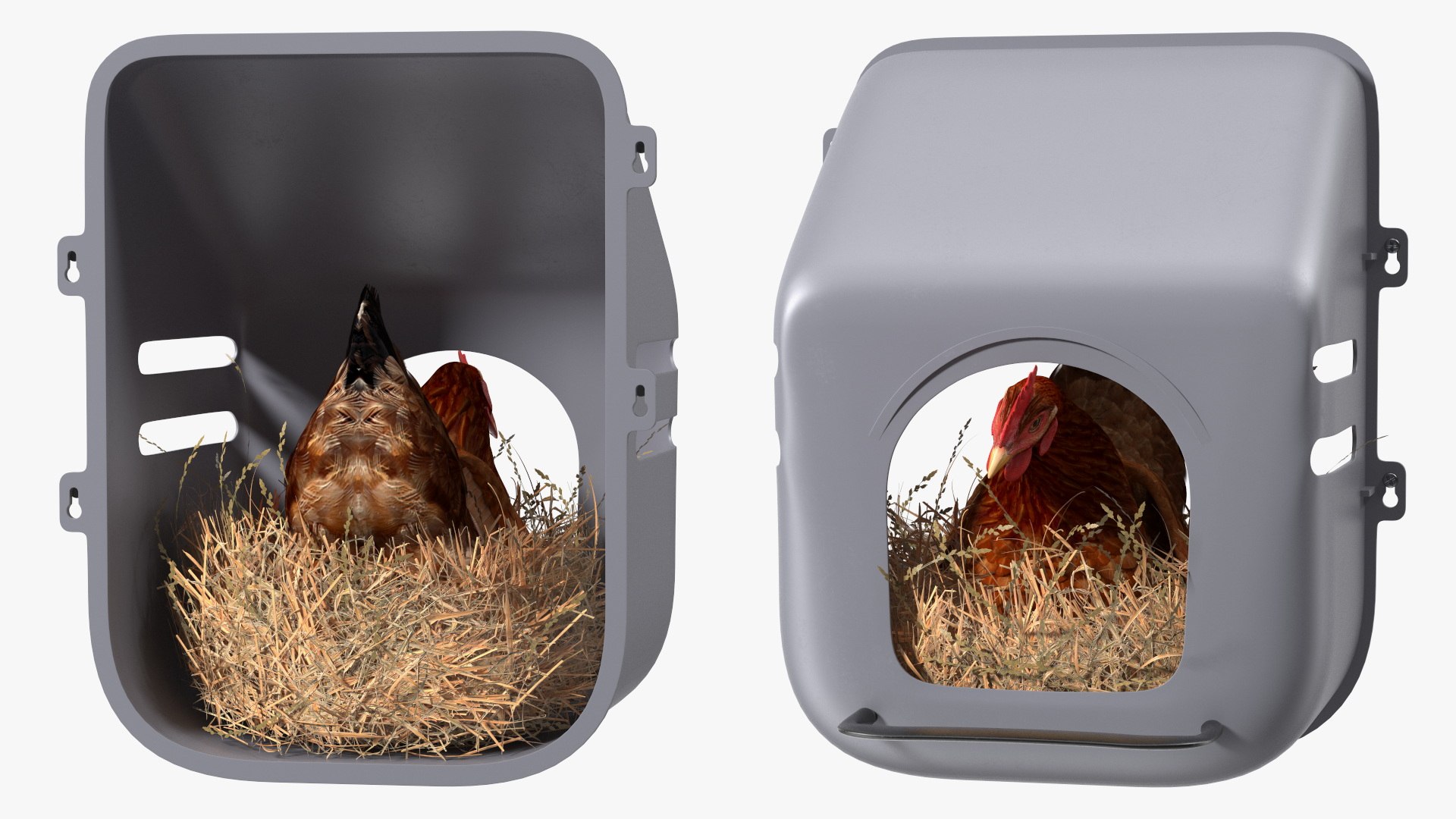 Chicken In Wall Mount Nesting Nest Box 3D Model - TurboSquid 2112263