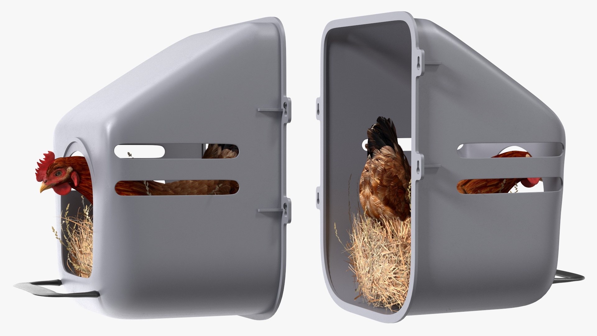 Chicken In Wall Mount Nesting Nest Box 3D Model - TurboSquid 2112263