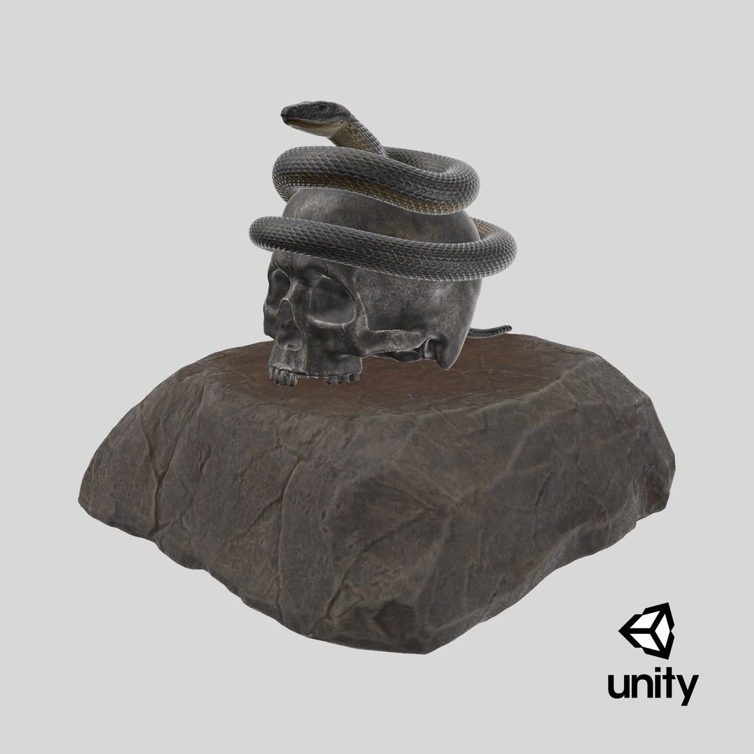 Skull 3D Model - TurboSquid 1933509