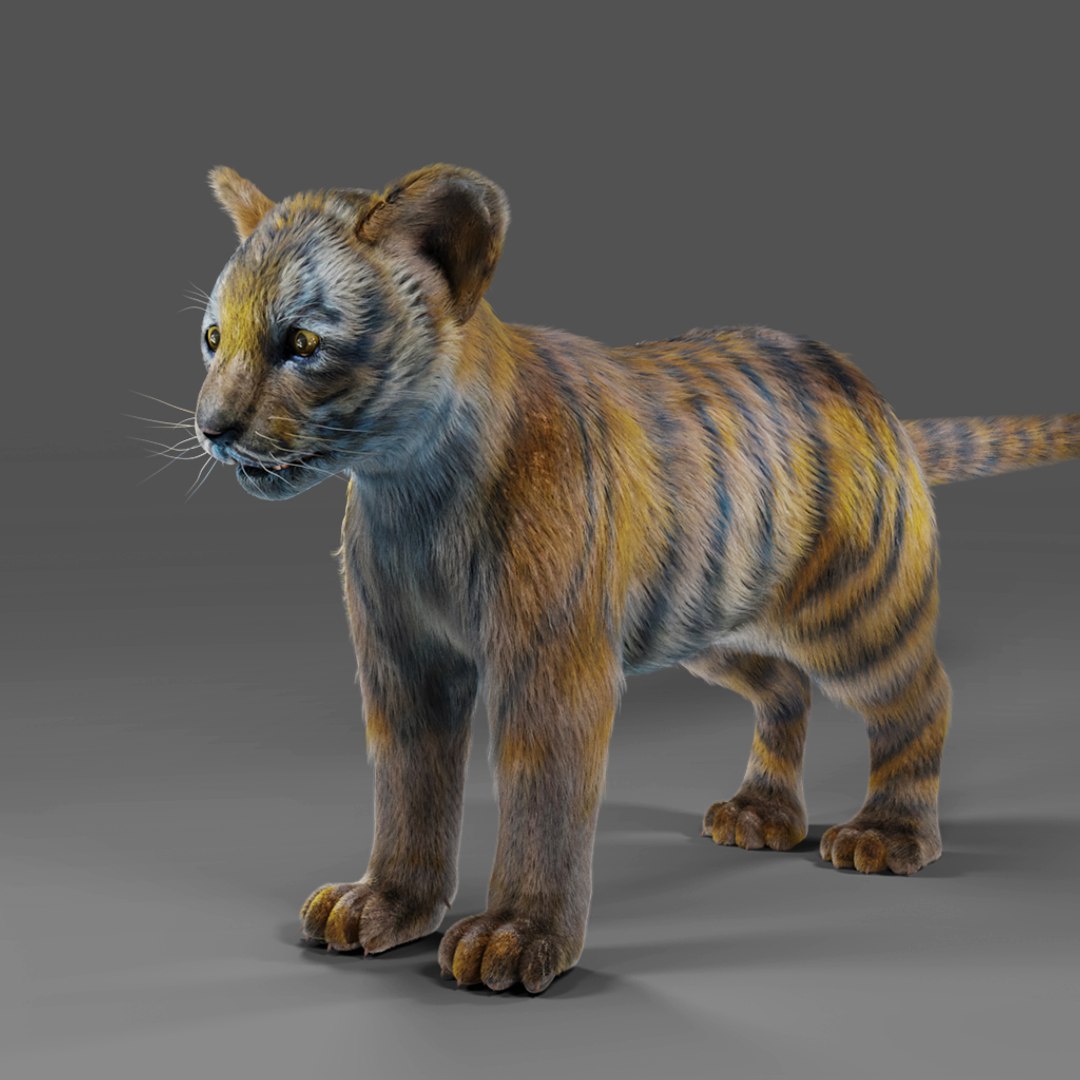 Fur Tiger Cub No Rigged 3D Model - TurboSquid 2032311