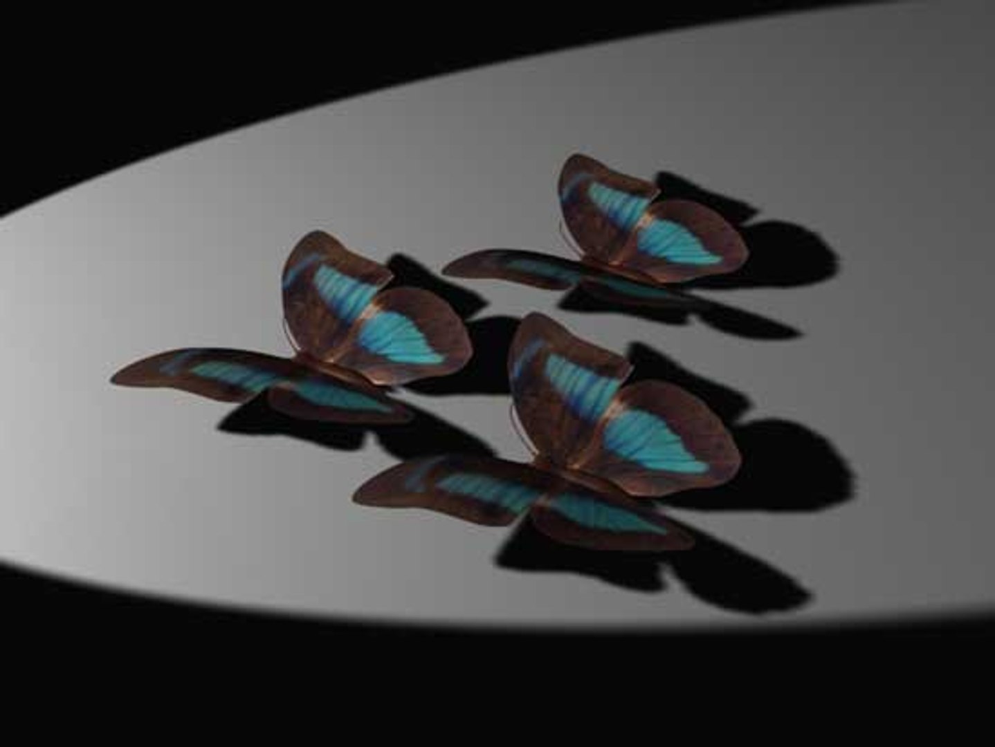 3d Butterfly 01