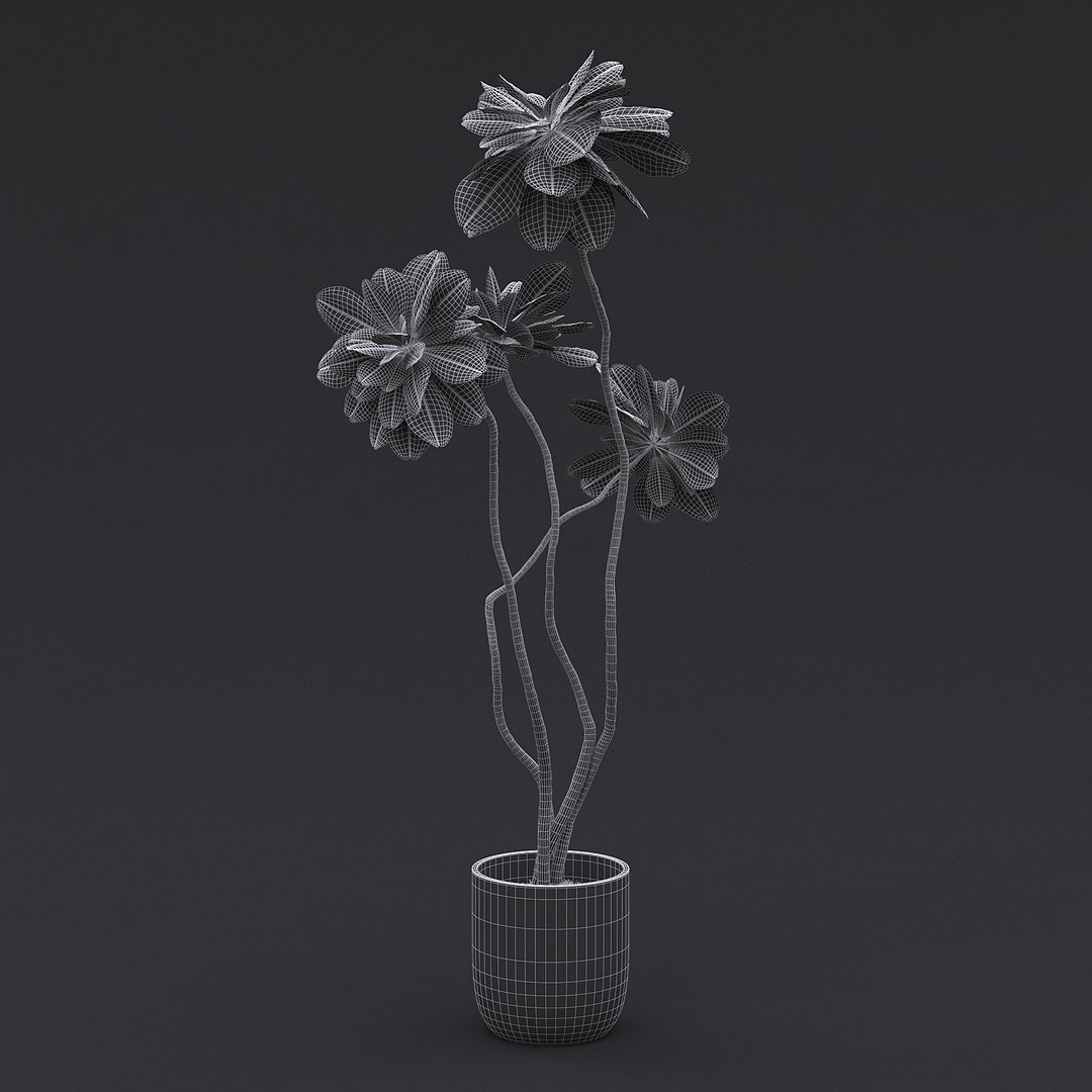 3D Fiddle Fig Tree II - TurboSquid 2111147