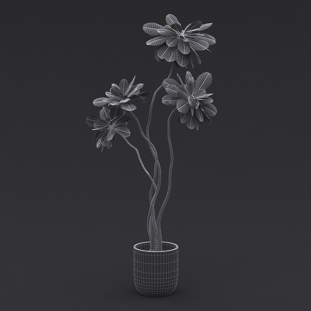 3D Fiddle Fig Tree II - TurboSquid 2111147