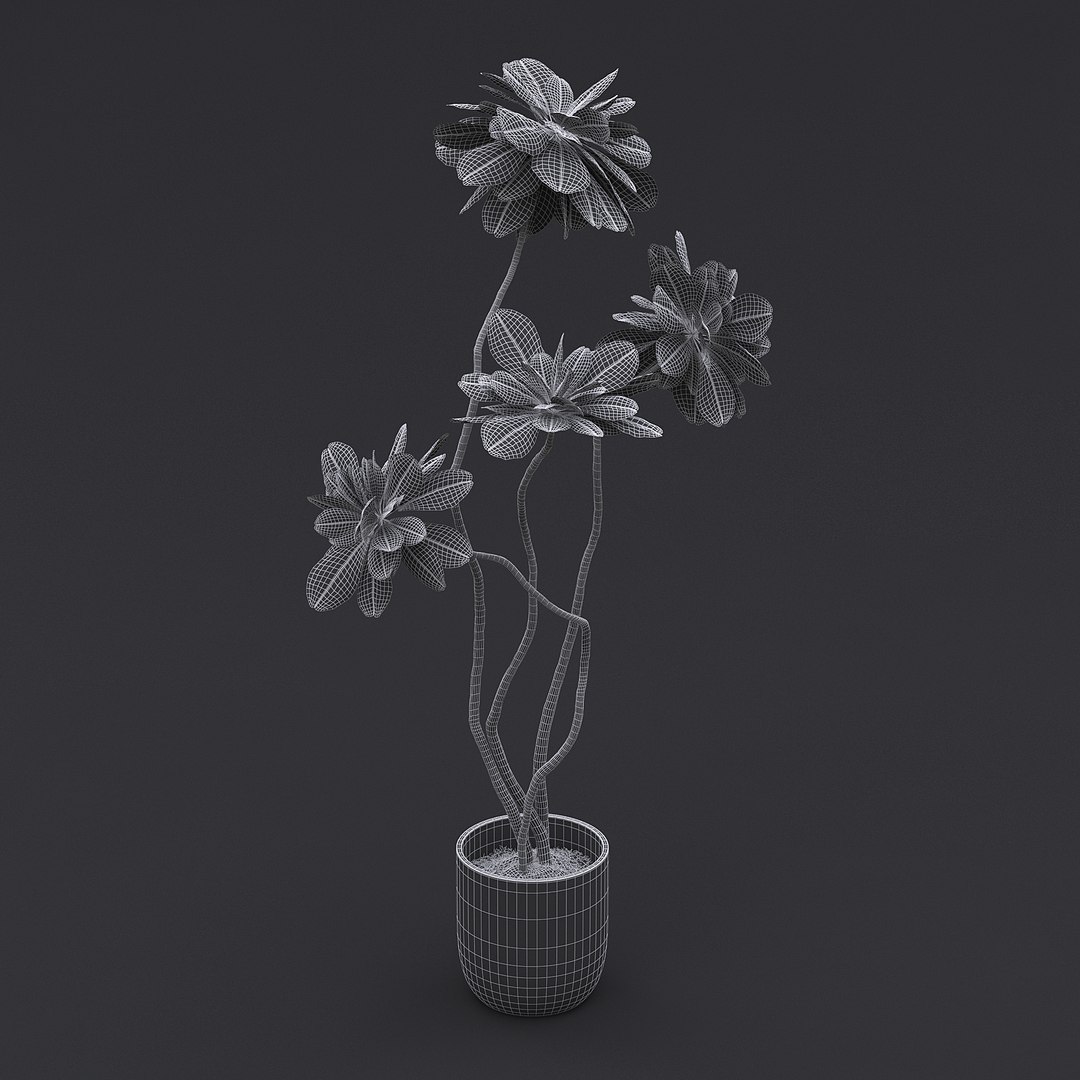 3D Fiddle Fig Tree II - TurboSquid 2111147