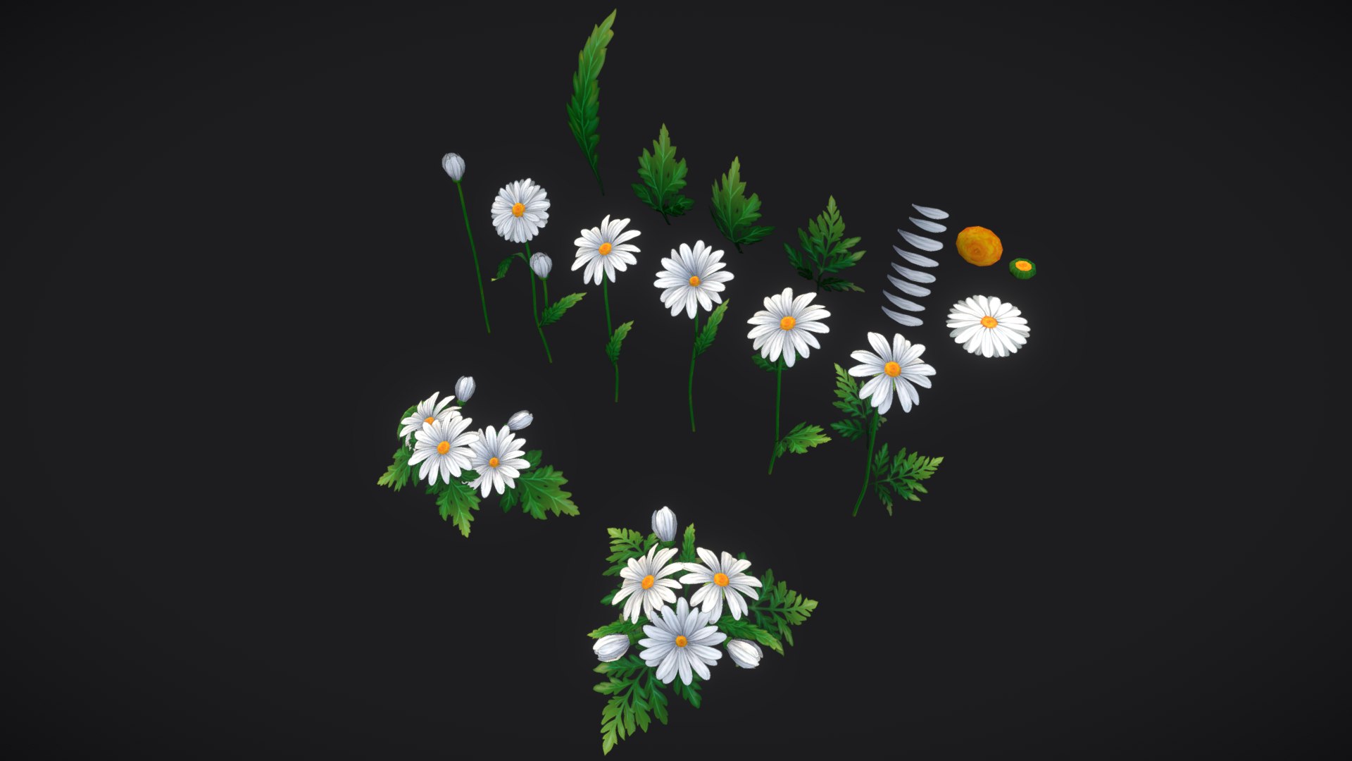 Handpainted Daisies 3D Model - TurboSquid 1991846