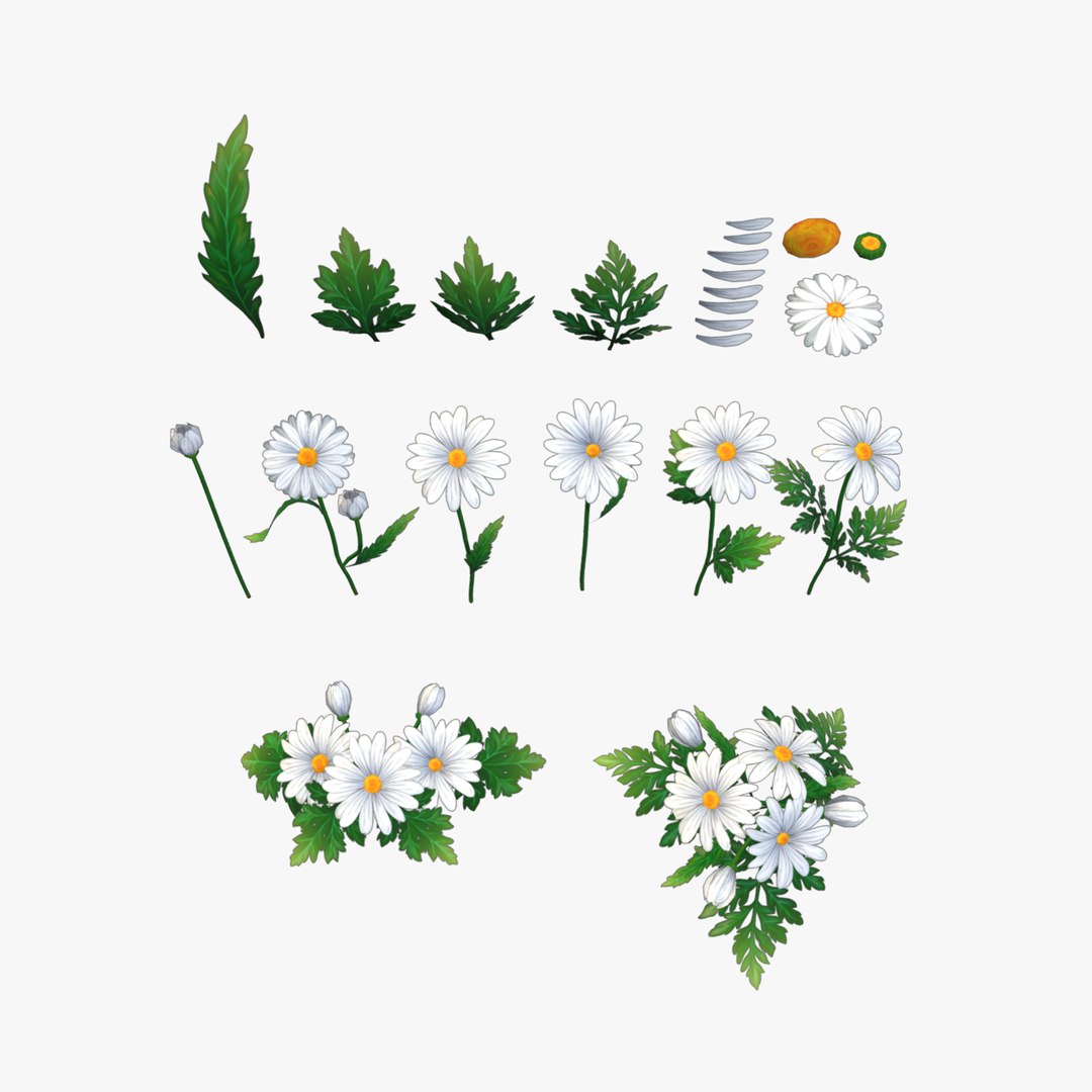 Handpainted Daisies 3D Model - TurboSquid 1991846
