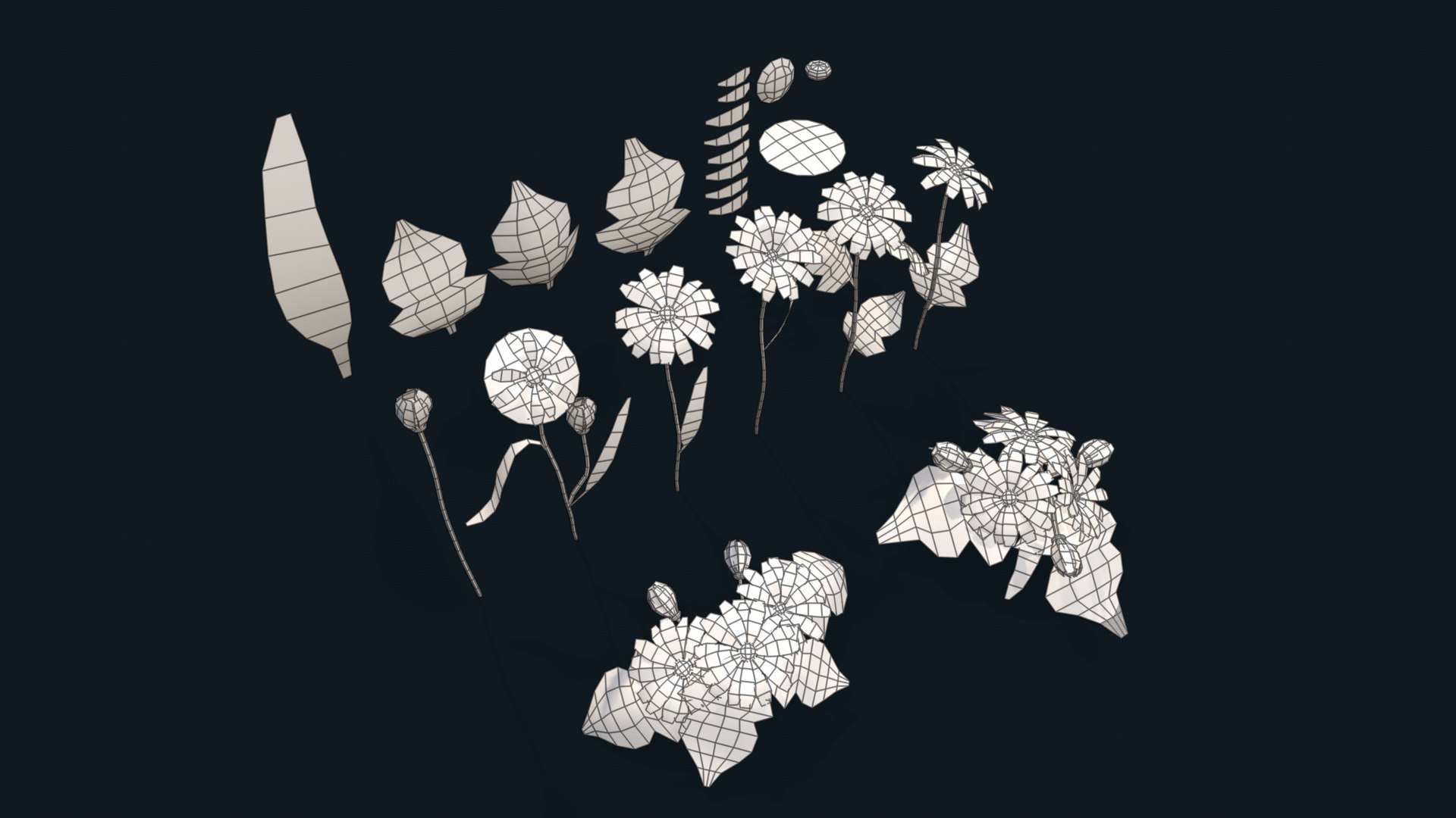 Handpainted Daisies 3D Model - TurboSquid 1991846