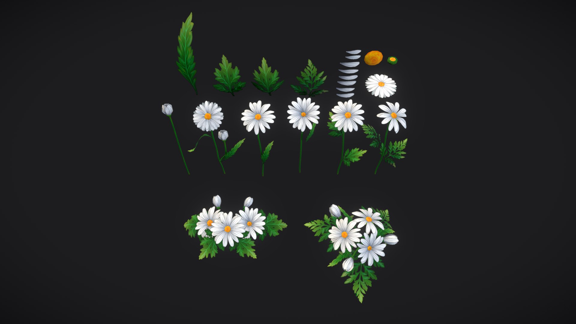 Handpainted Daisies 3D Model - TurboSquid 1991846