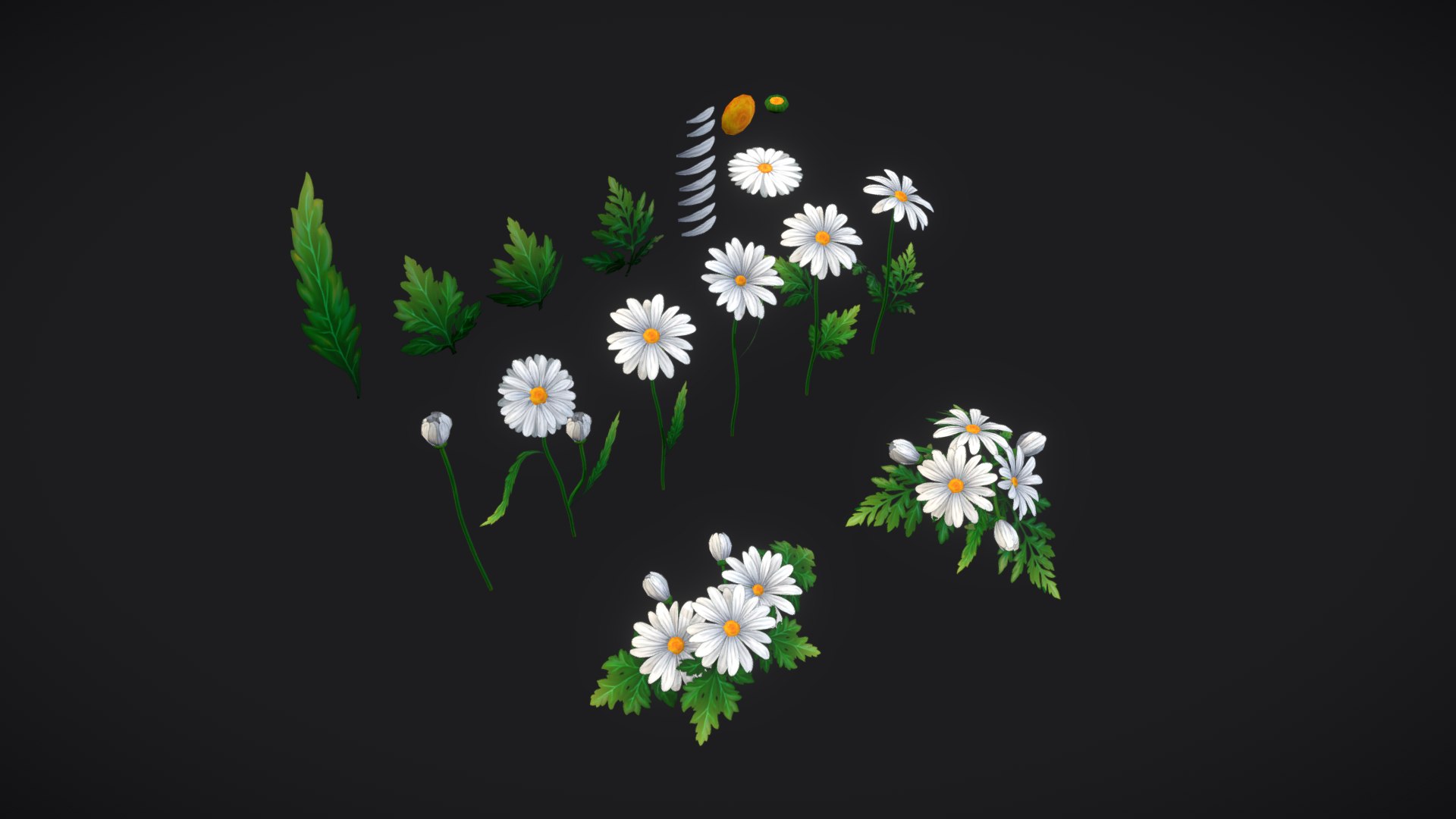 Handpainted Daisies 3D Model - TurboSquid 1991846