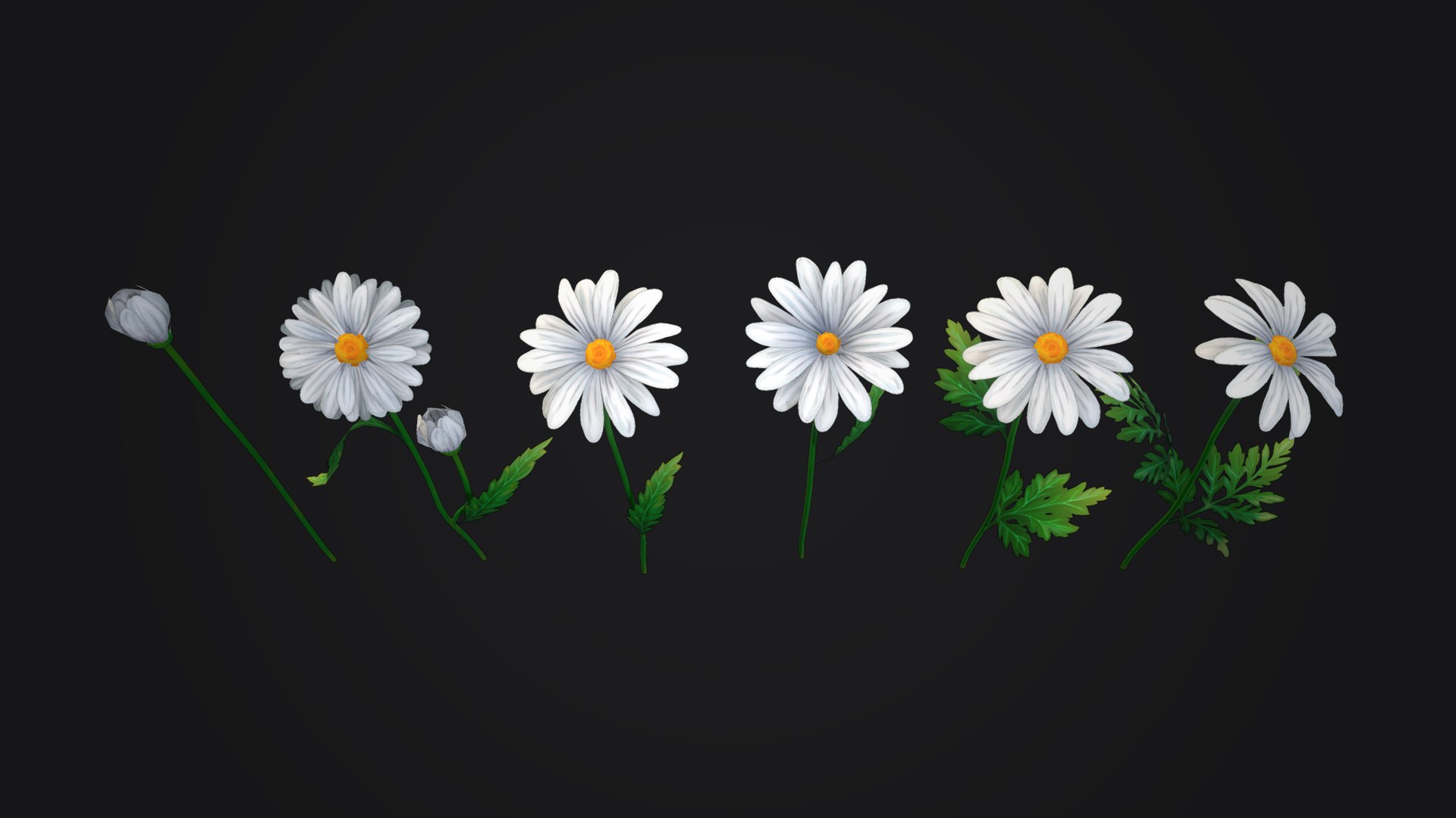 Handpainted Daisies 3D Model - TurboSquid 1991846
