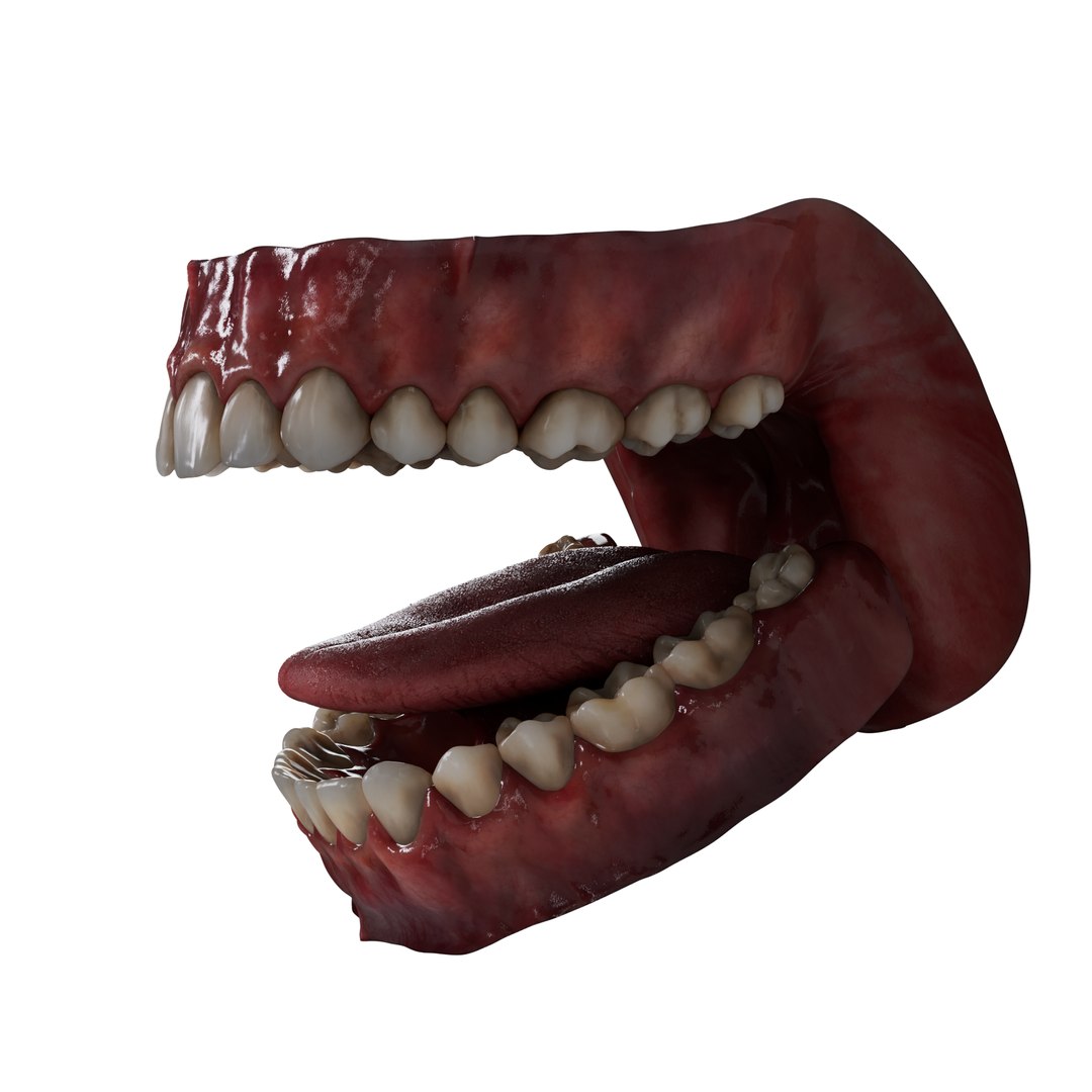 3D Photorealistic Teeth - TurboSquid 2074531