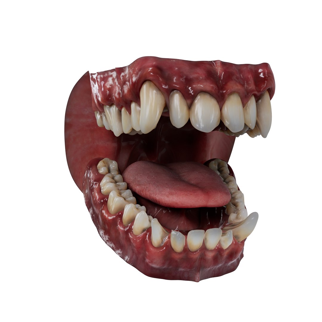 3D Photorealistic Teeth - TurboSquid 2074531