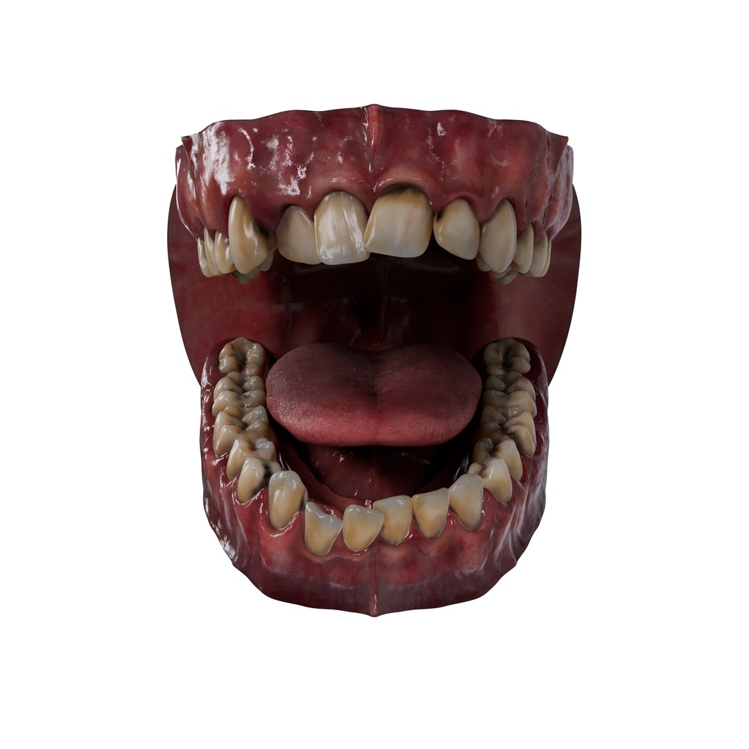3D Photorealistic Teeth - TurboSquid 2074531