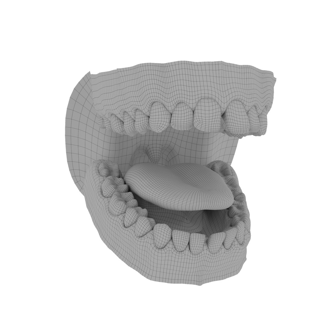 3D Photorealistic Teeth - TurboSquid 2074531