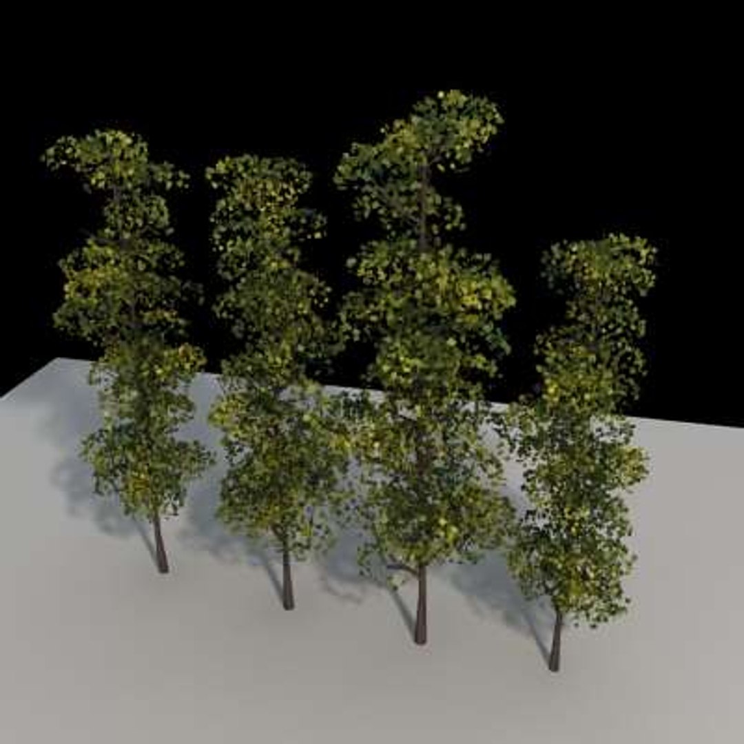 Trees Architectural 3d Model