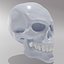 3D Model Stylized Skull - TurboSquid 1558125
