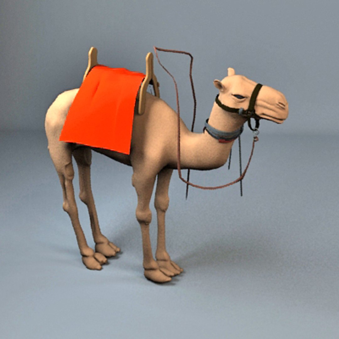 3d Camel