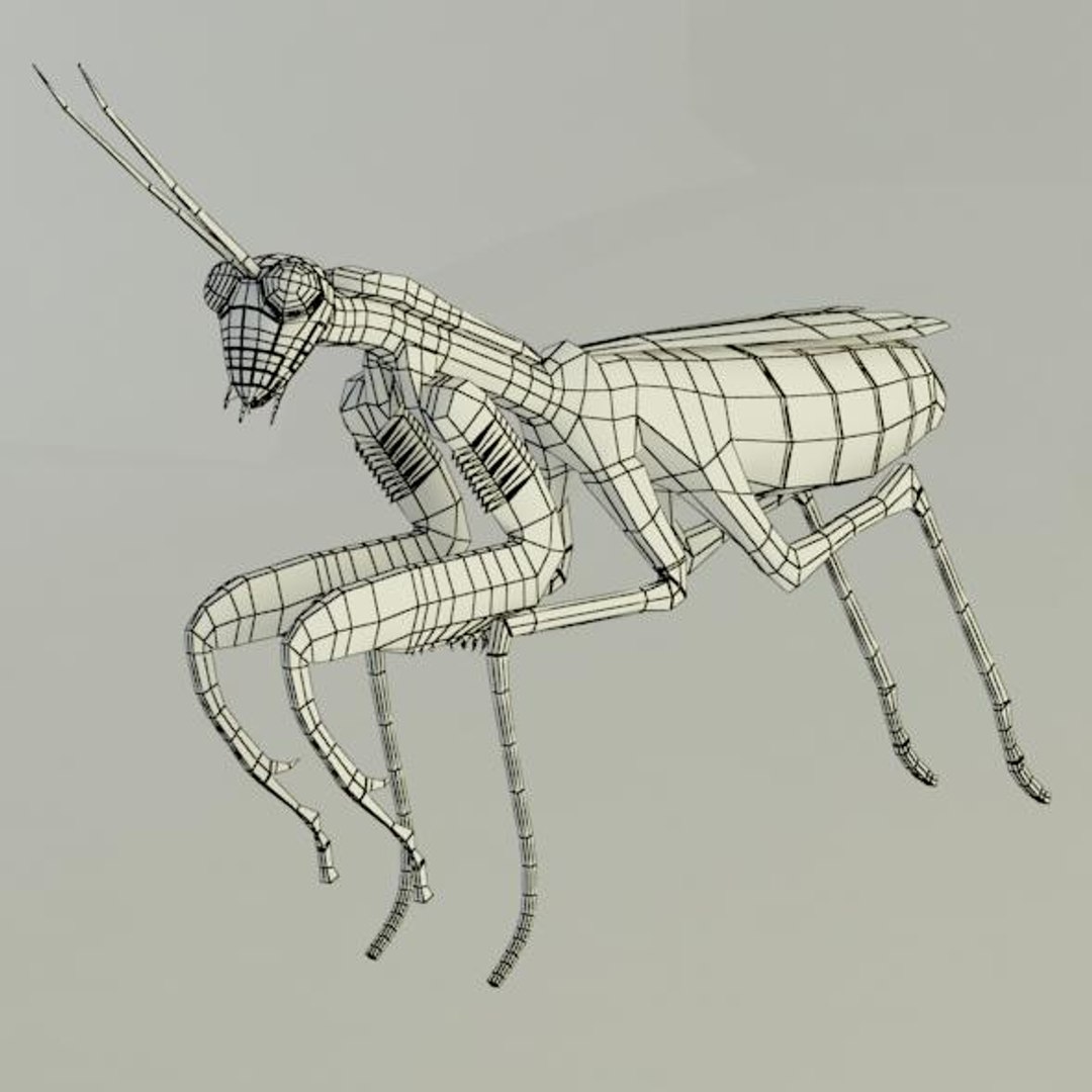 3d Mantis