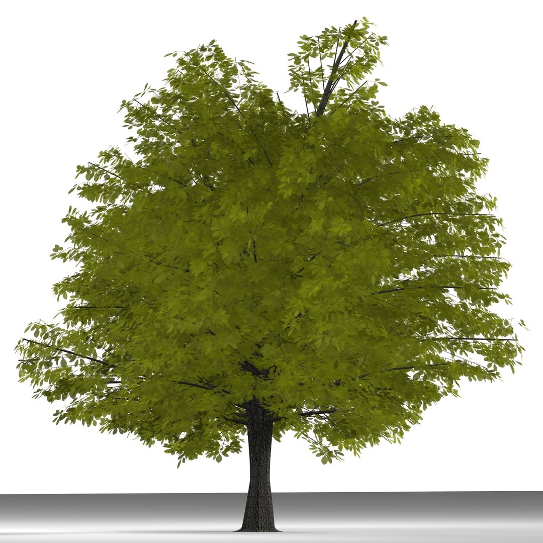 3d 3ds plane tree