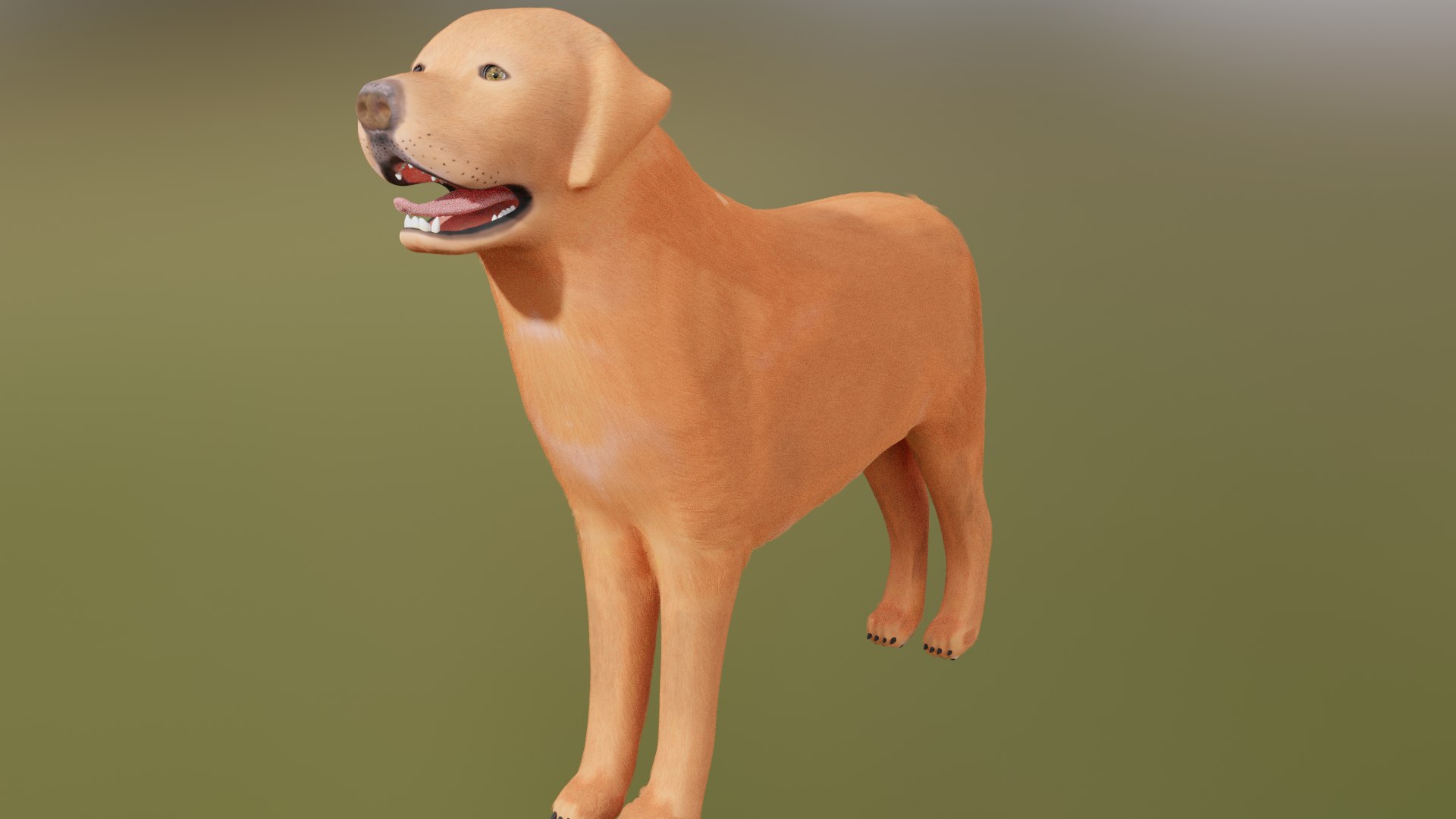 Labrador 3D Model - TurboSquid 1724049