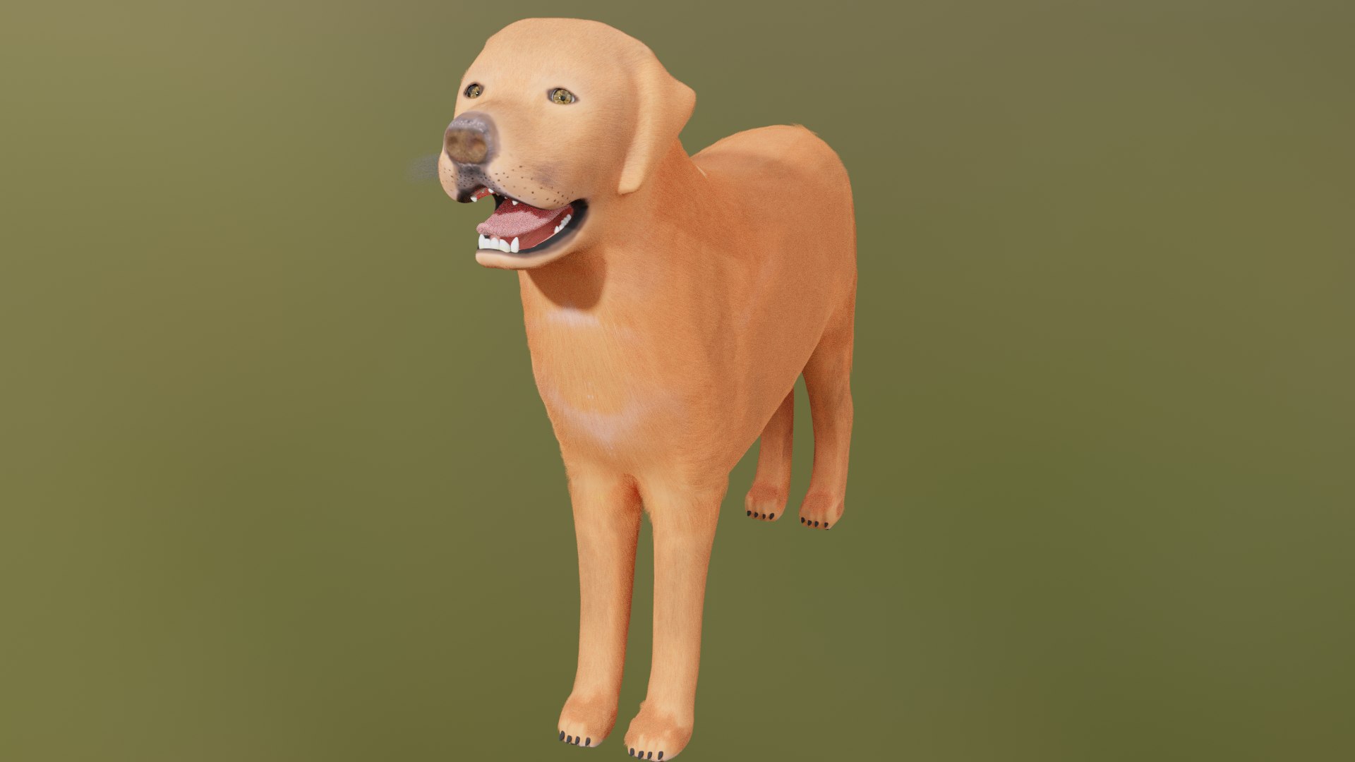 Labrador 3D Model - TurboSquid 1724049