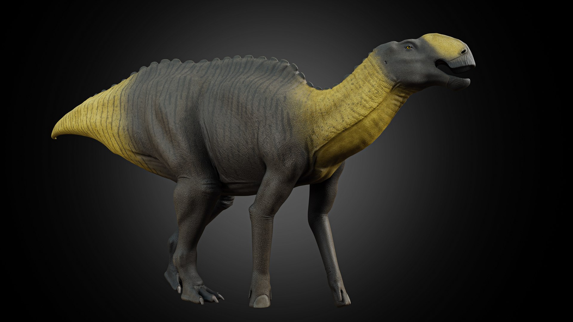 Gryposaurus Notabilis 3D Model - TurboSquid 2132950