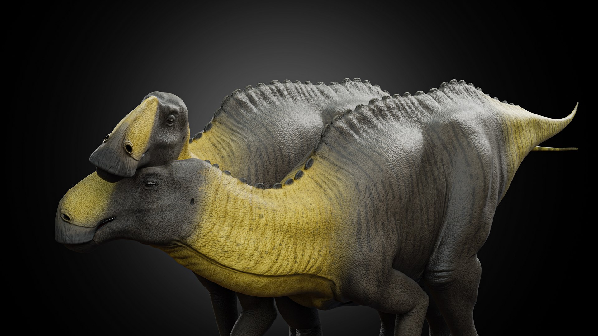 Gryposaurus Notabilis 3D Model - TurboSquid 2132950