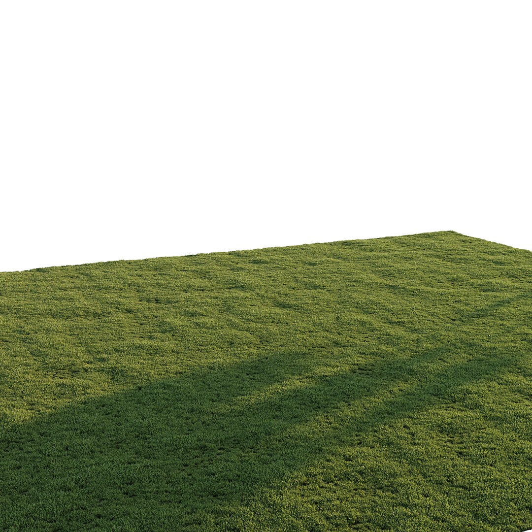 3D Cut Grass For Landscape Model - TurboSquid 1900387