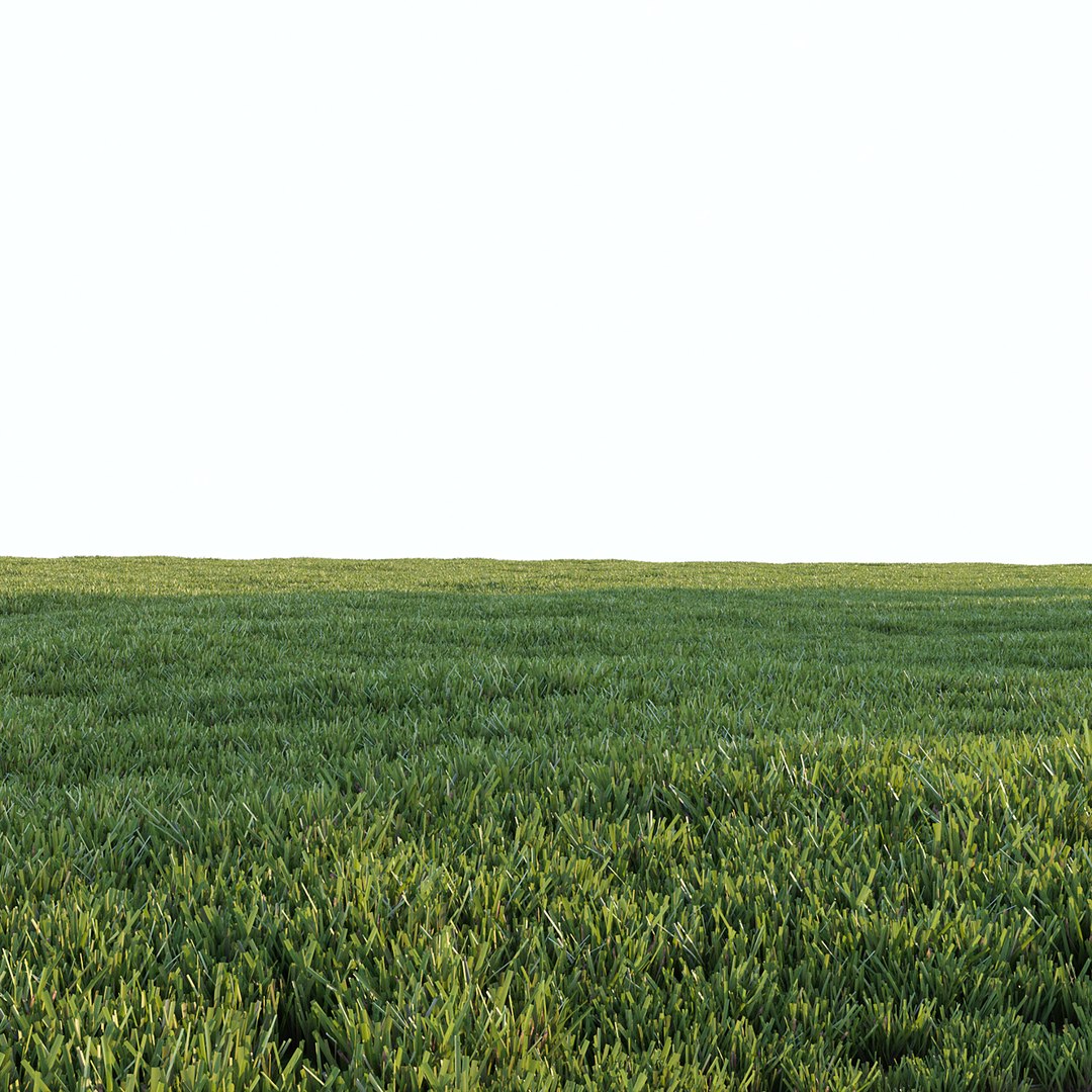 3D Cut Grass For Landscape Model - TurboSquid 1900387